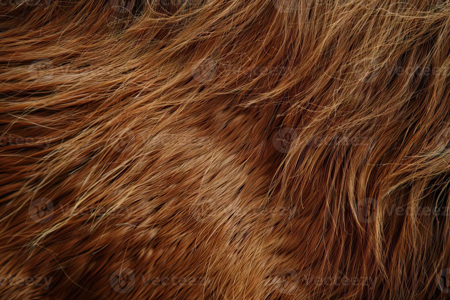 Page 2 | Lion Hair Stock Photos, Images and Backgrounds for Free Download