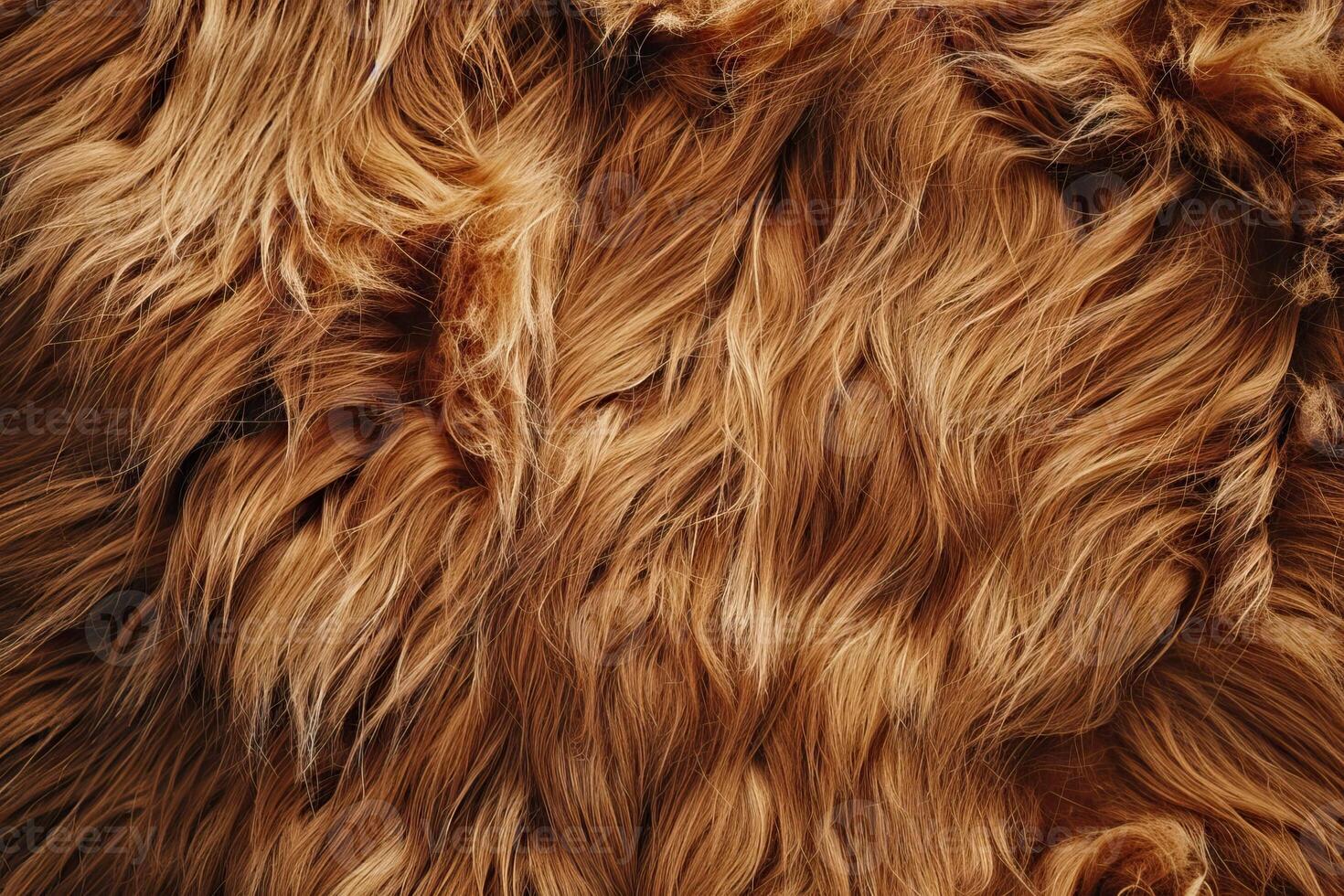 Page 2 | Shaggy Bear Fur Stock Photos, Images and Backgrounds for Free ...