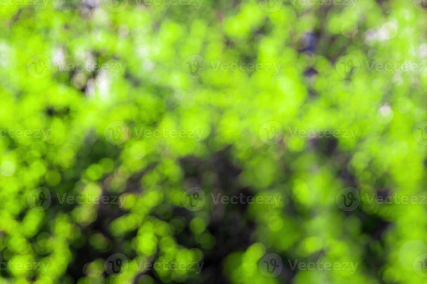Page 2 | Spring Green Colors Stock Photos, Images and Backgrounds for ...