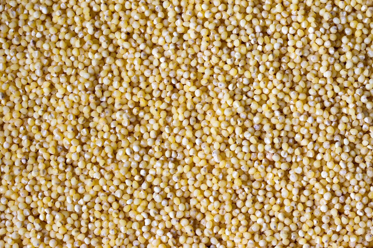 Millet groats background. Grain texture. 46231674 Stock Photo at Vecteezy