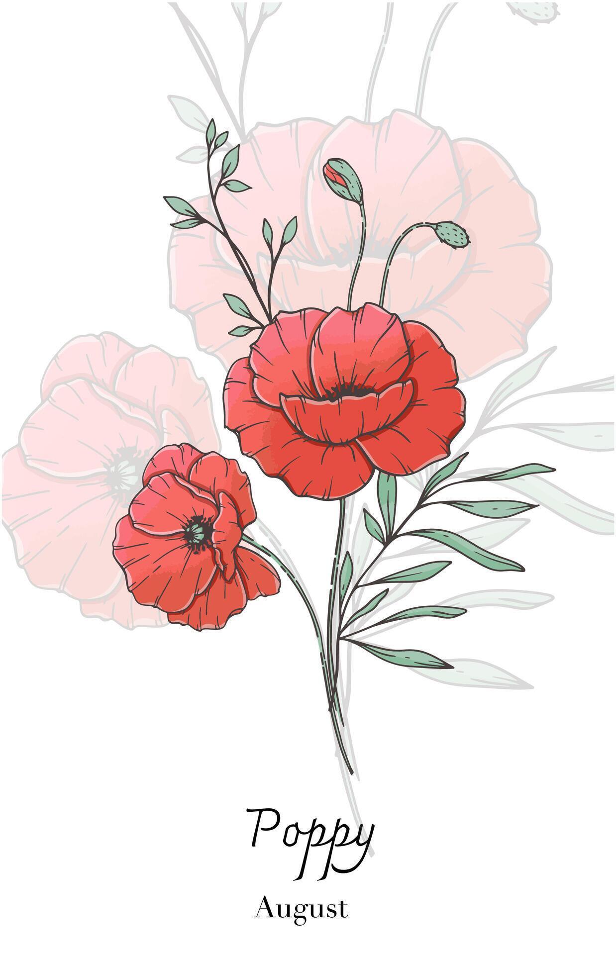 Poppy Line Art. Poppy flower Illustration. August Birth Month Flower. Poppy outline isolated on ...