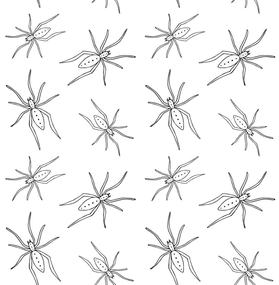 Seamless pattern of hand drawn spider 46263974 Vector Art at Vecteezy
