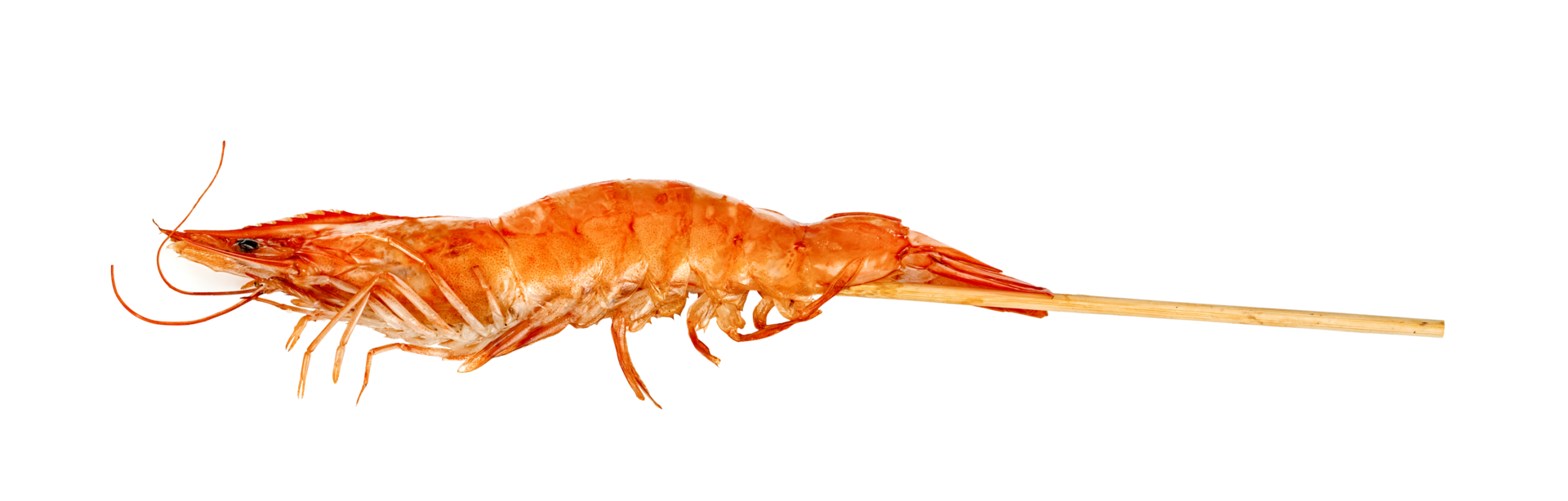 Roasted Peeled Prawn With Skewer Isolated Grilled Shrimp 46300558 Png