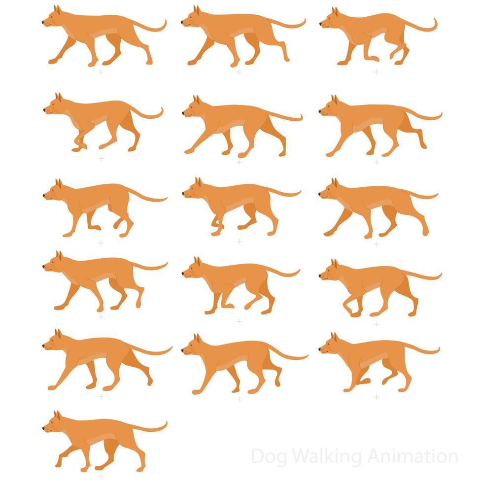 Dog walk Animation sprite sheet, walk cycle Animation sequence ... Dog walk Animation sprite sheet, walk cycle Animation sequence ...
