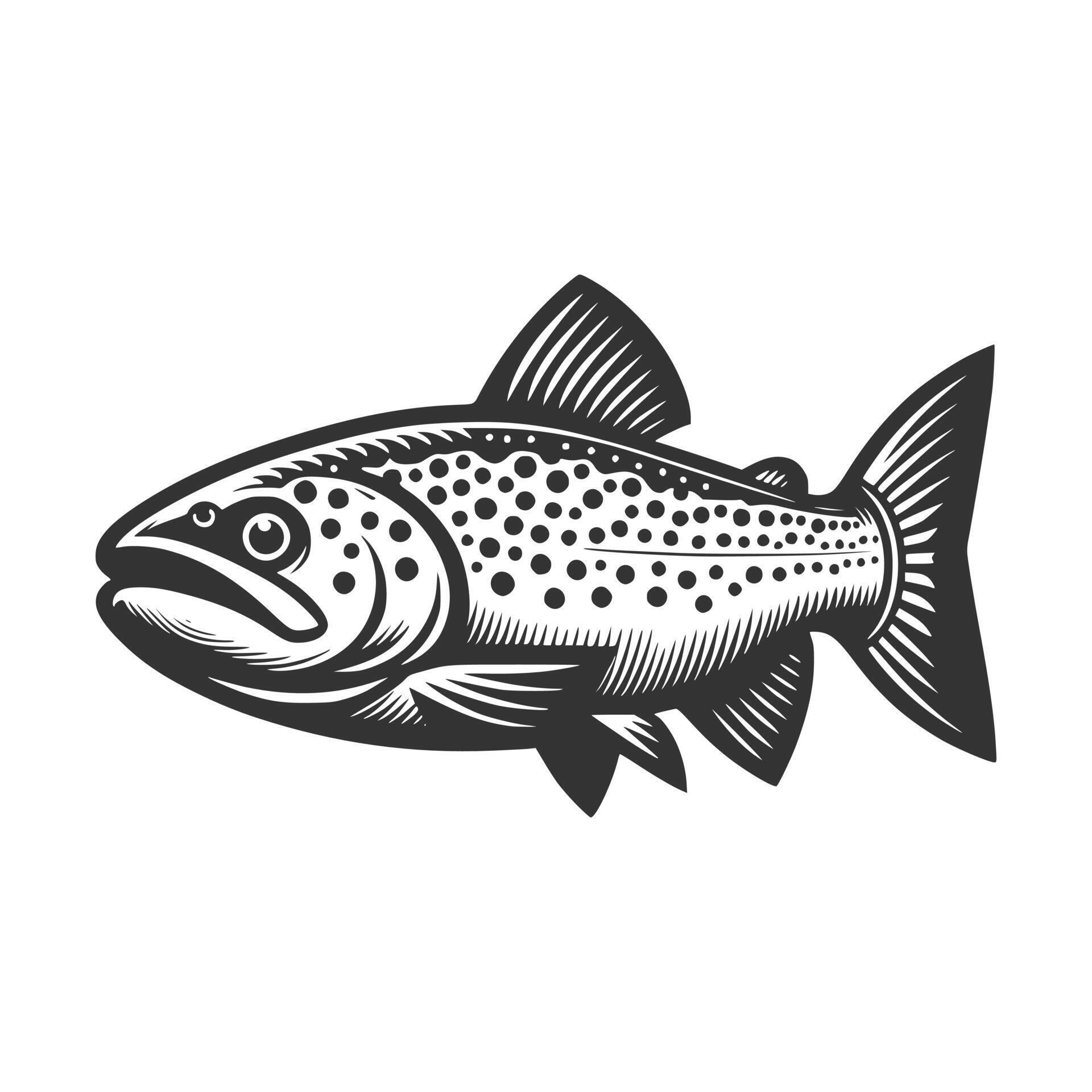 Trout fish art illustration 46308441 Vector Art at Vecteezy