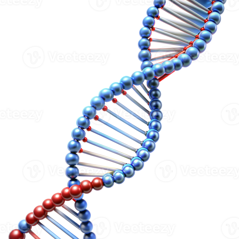 Detailed 3d render of dna helix structure on transparent background 46323576 PNG