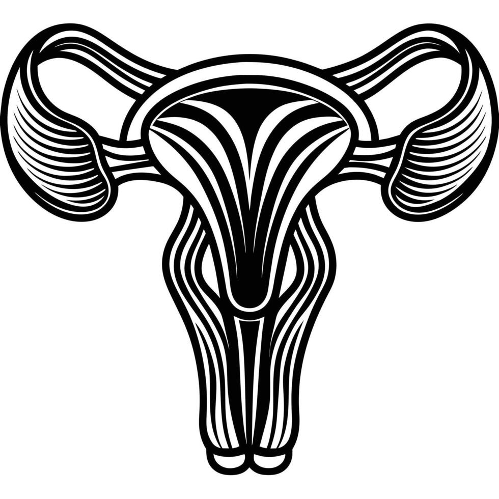 Illustration Of Human Organ Uterus 46332148 Vector Art At Vecteezy