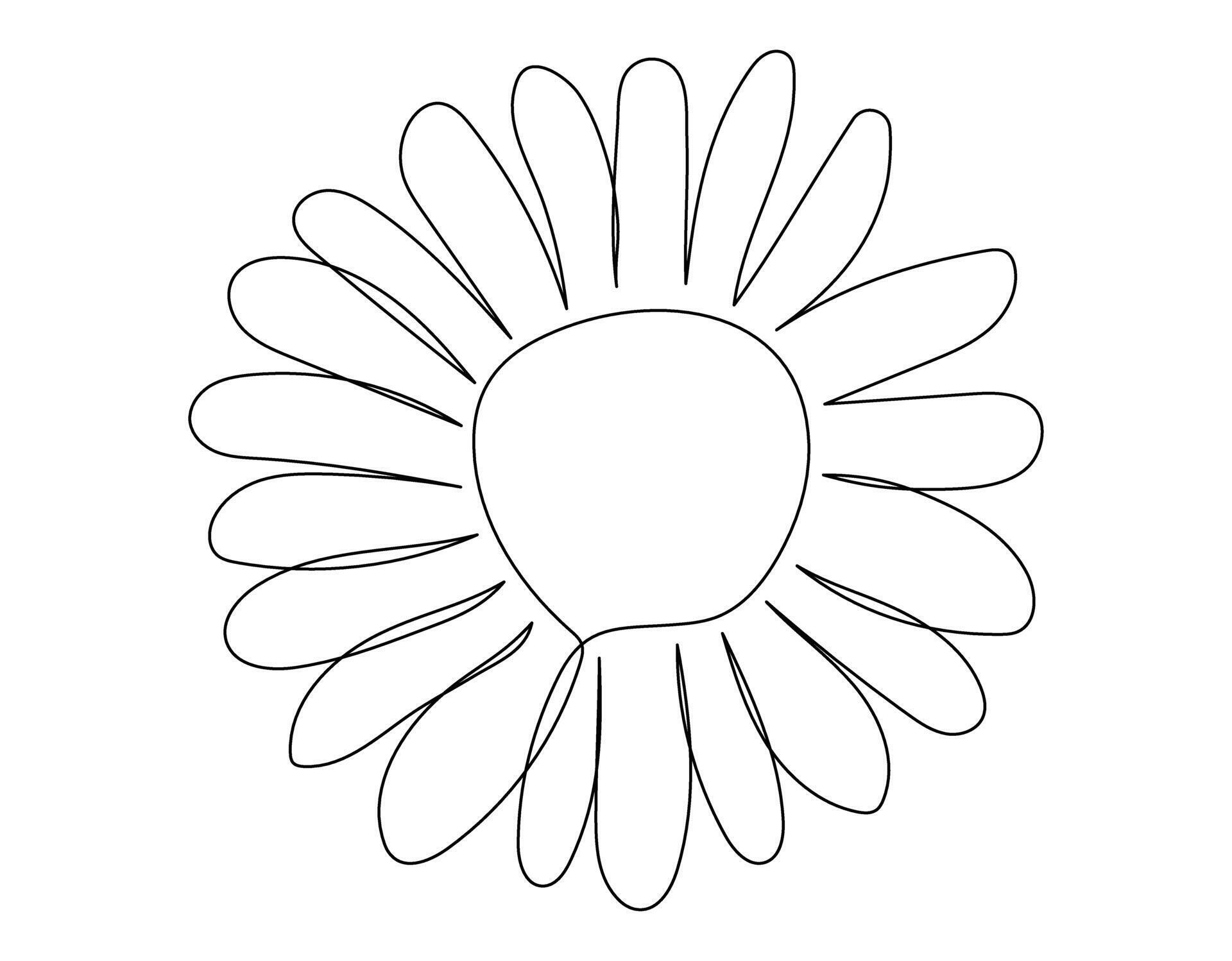 One Line Daisy Flower With Editable Stroke Chamomile Continuous