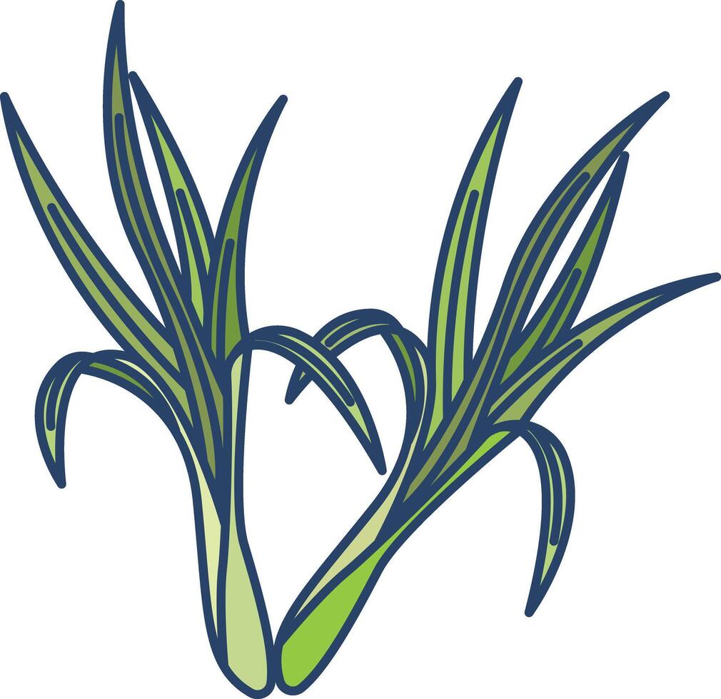 Lemon Grass Linear Color Illustration 46337822 Vector Art At Vecteezy