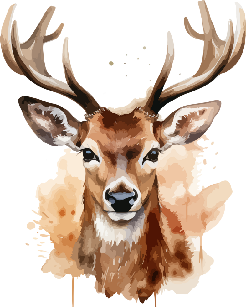 acquerello cervo clipart design illustrazione 46340031 PNG