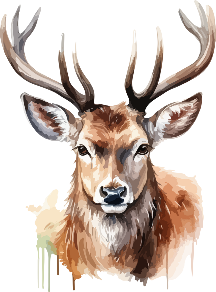 Watercolor deer clipart design illustration 46340033 PNG