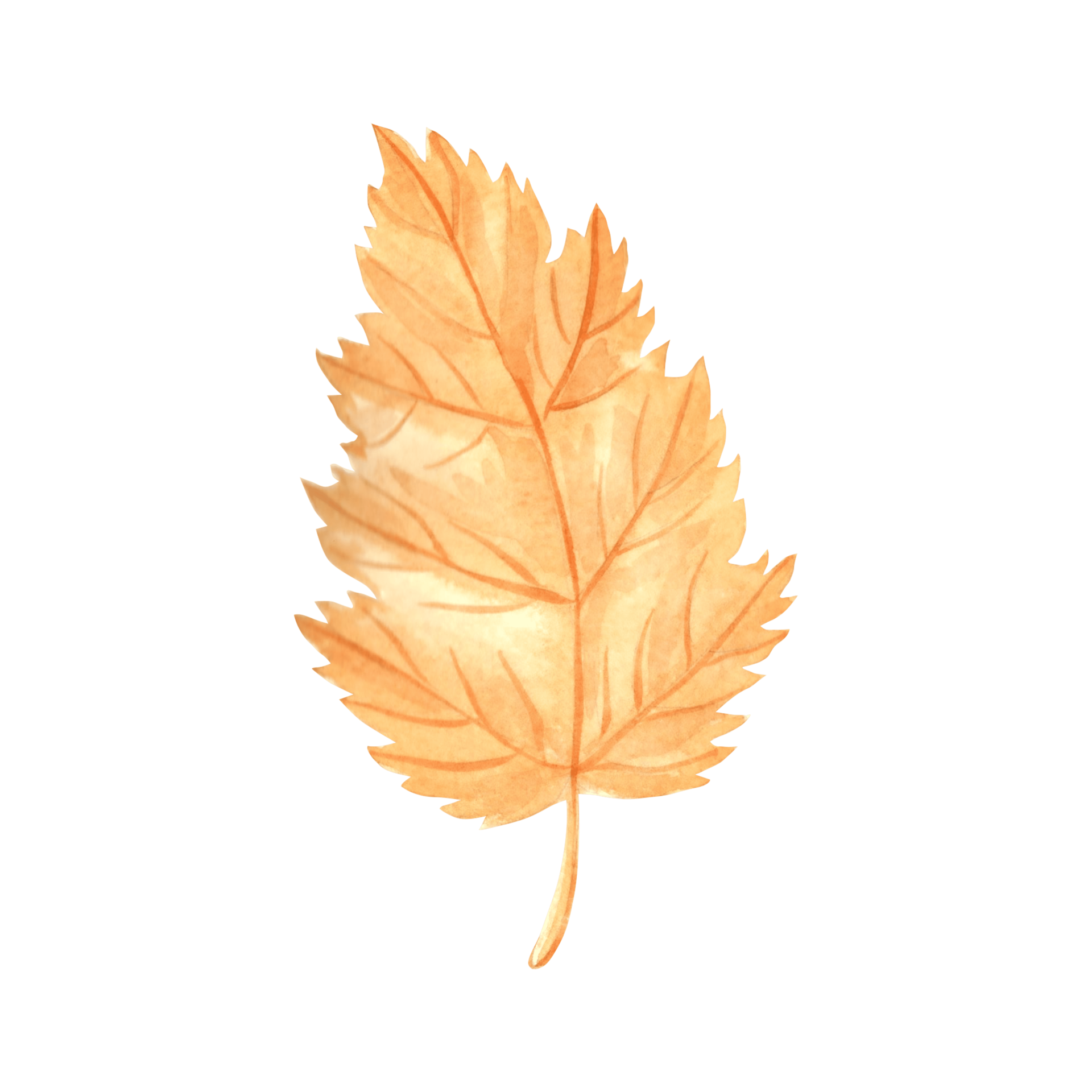 Yellow leaf autumnal. Golden fall tree. Hand drawn watercolor ...