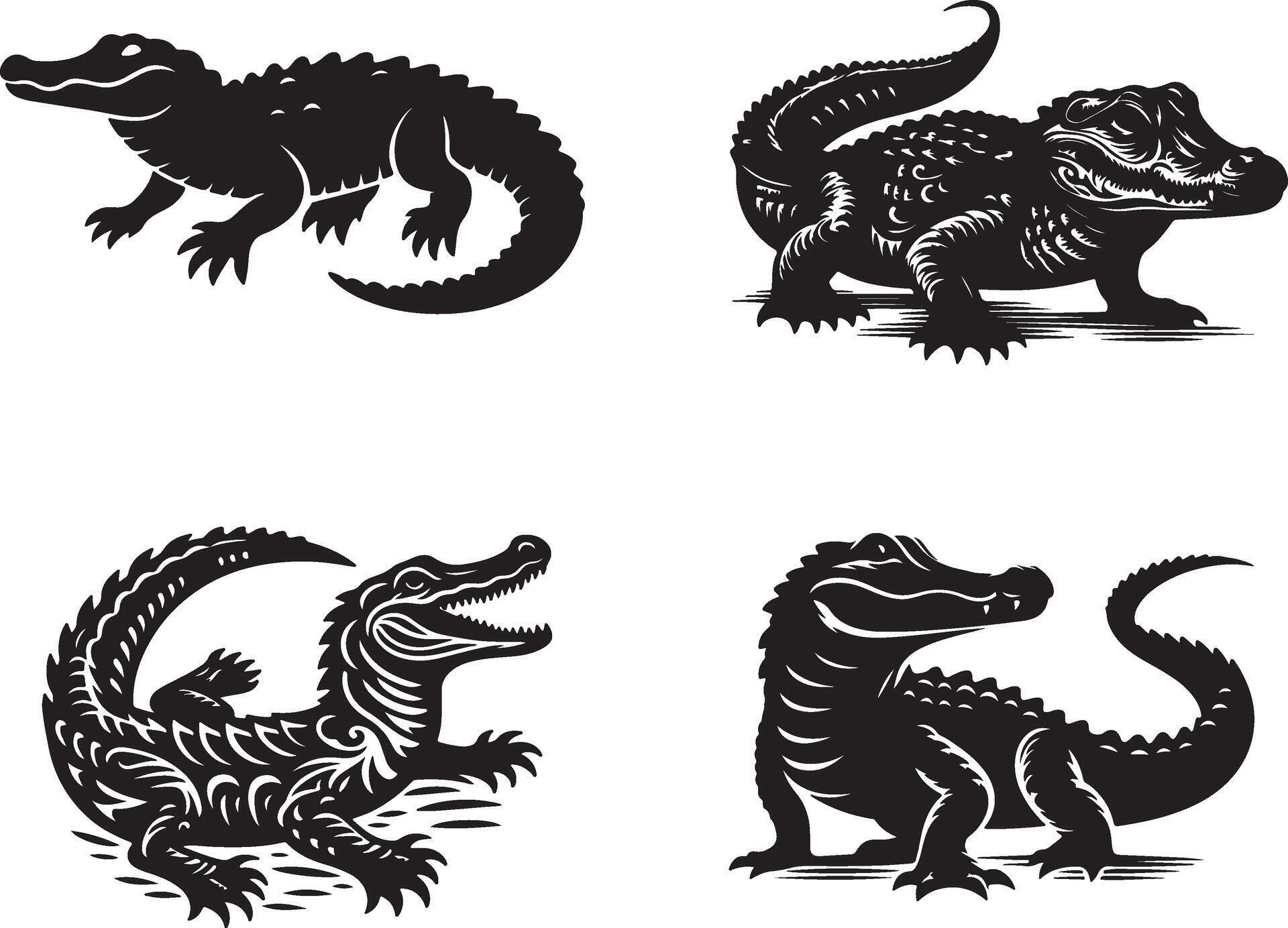 Collection of crocodile Alligator illustration on white background ...
