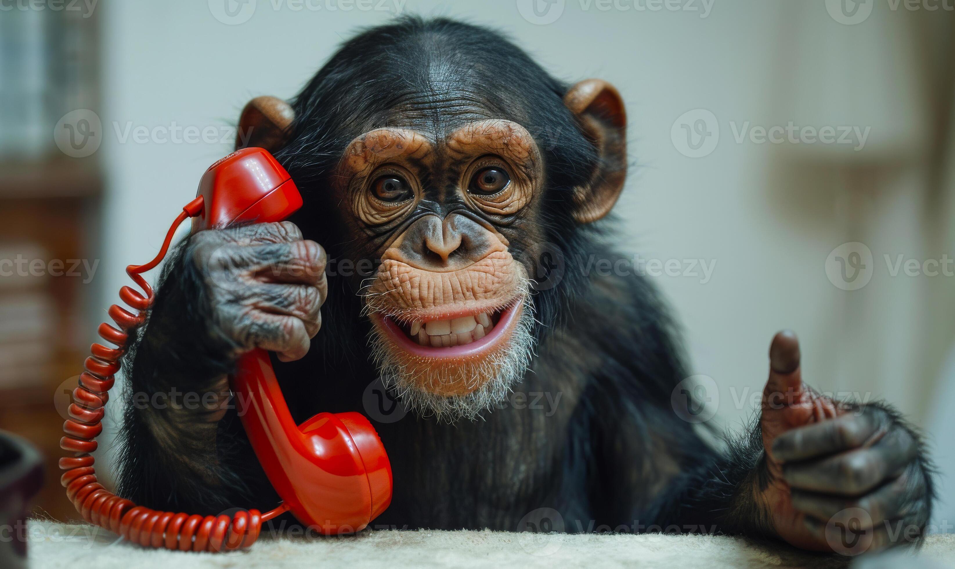 Chimpanzee sitting and talking on the phone 46369970 Stock Photo at Vecteezy