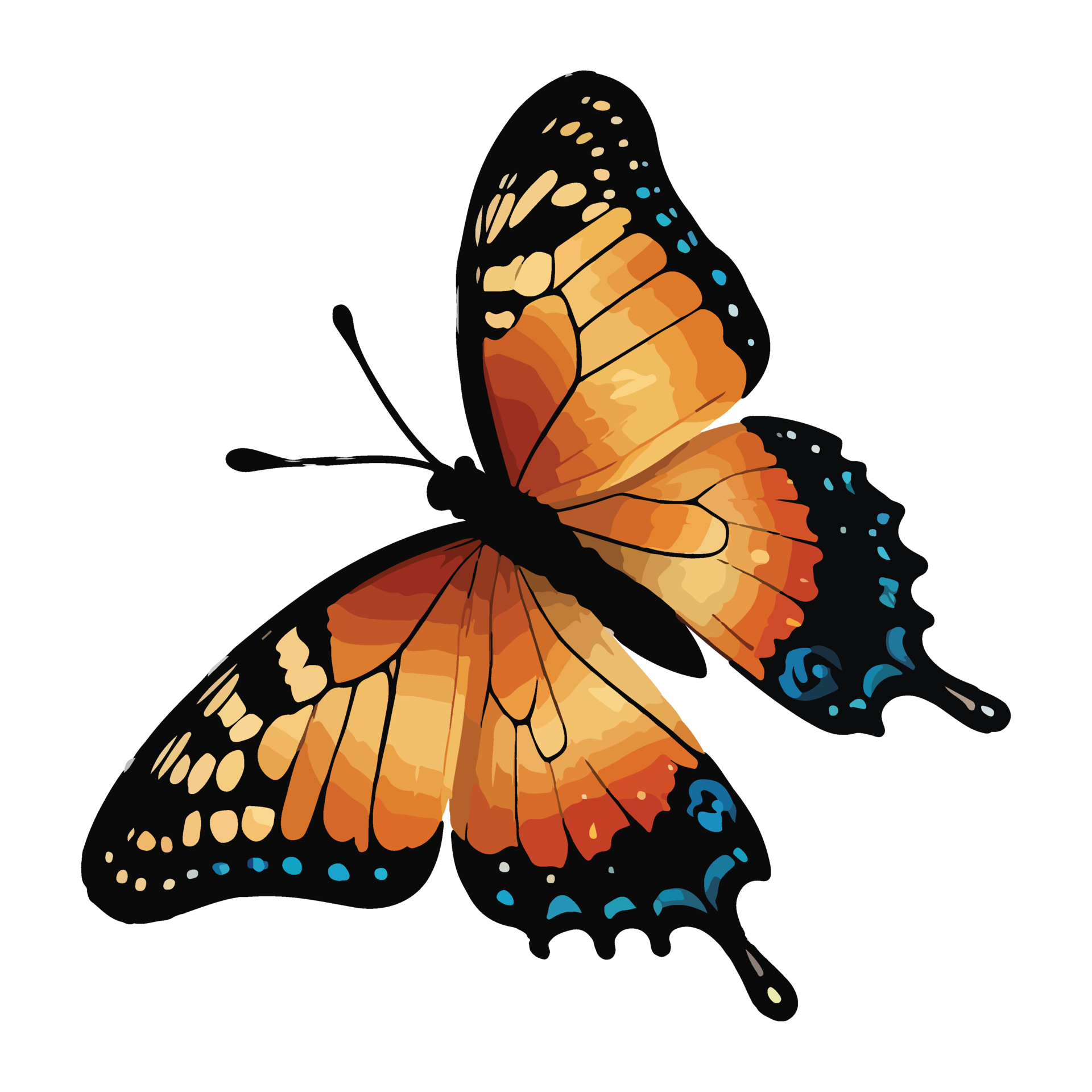 Butterfly animated illustration design images 46380524 PNG Butterfly animated illustration design images 46380524 PNG