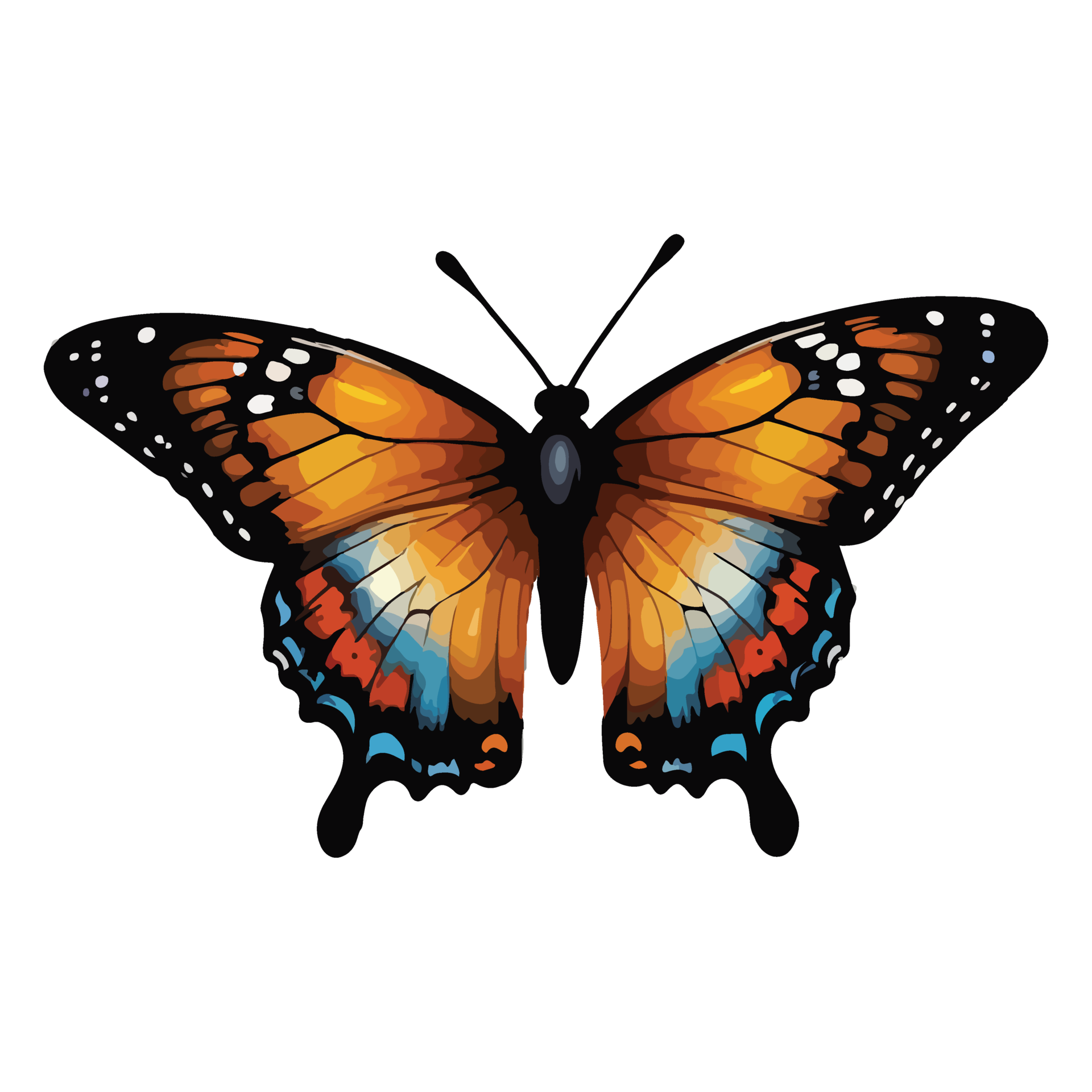Butterfly animated illustration design images 46380543 PNG Butterfly animated illustration design images 46380543 PNG