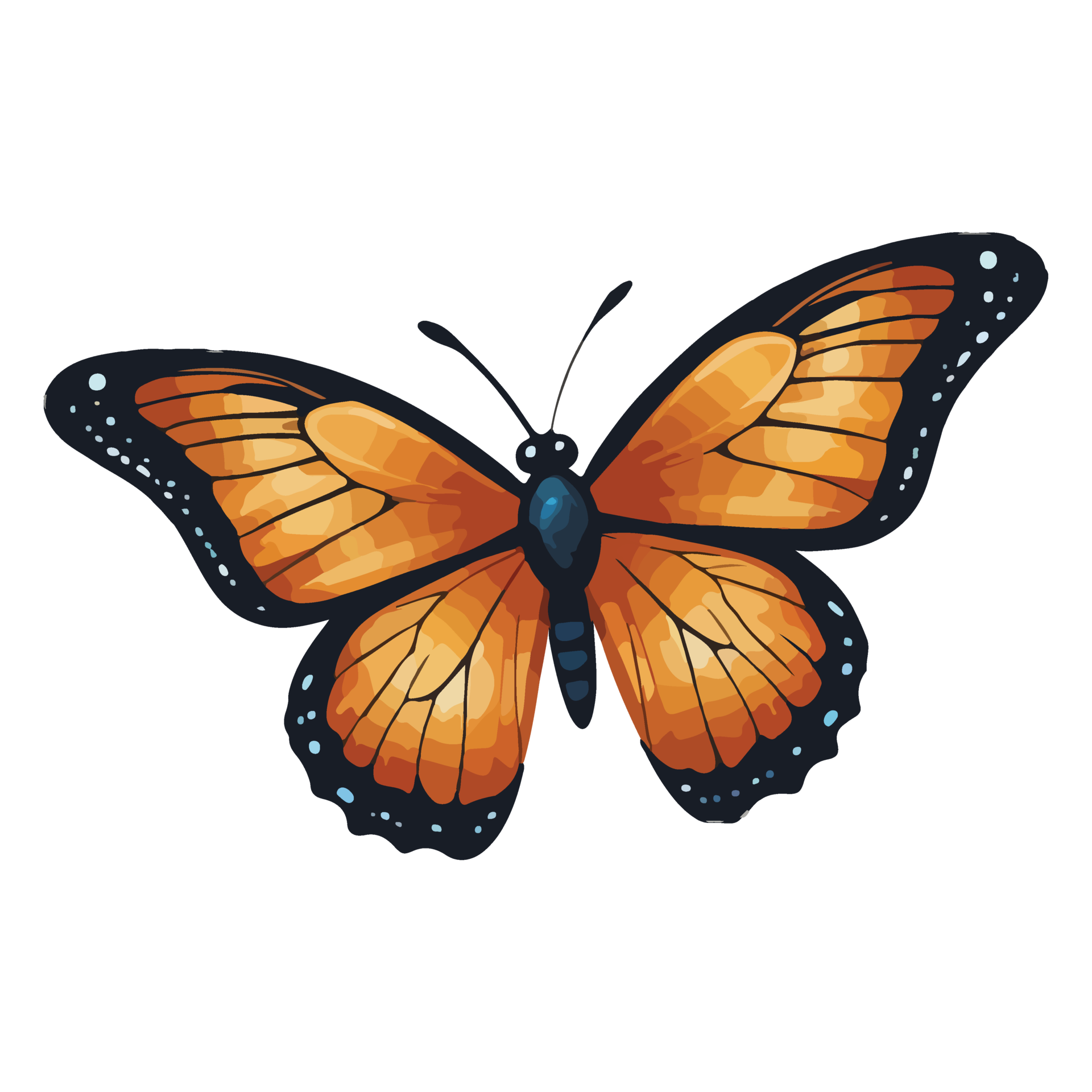 Butterfly animated illustration design images 46380549 PNG Butterfly animated illustration design images 46380549 PNG