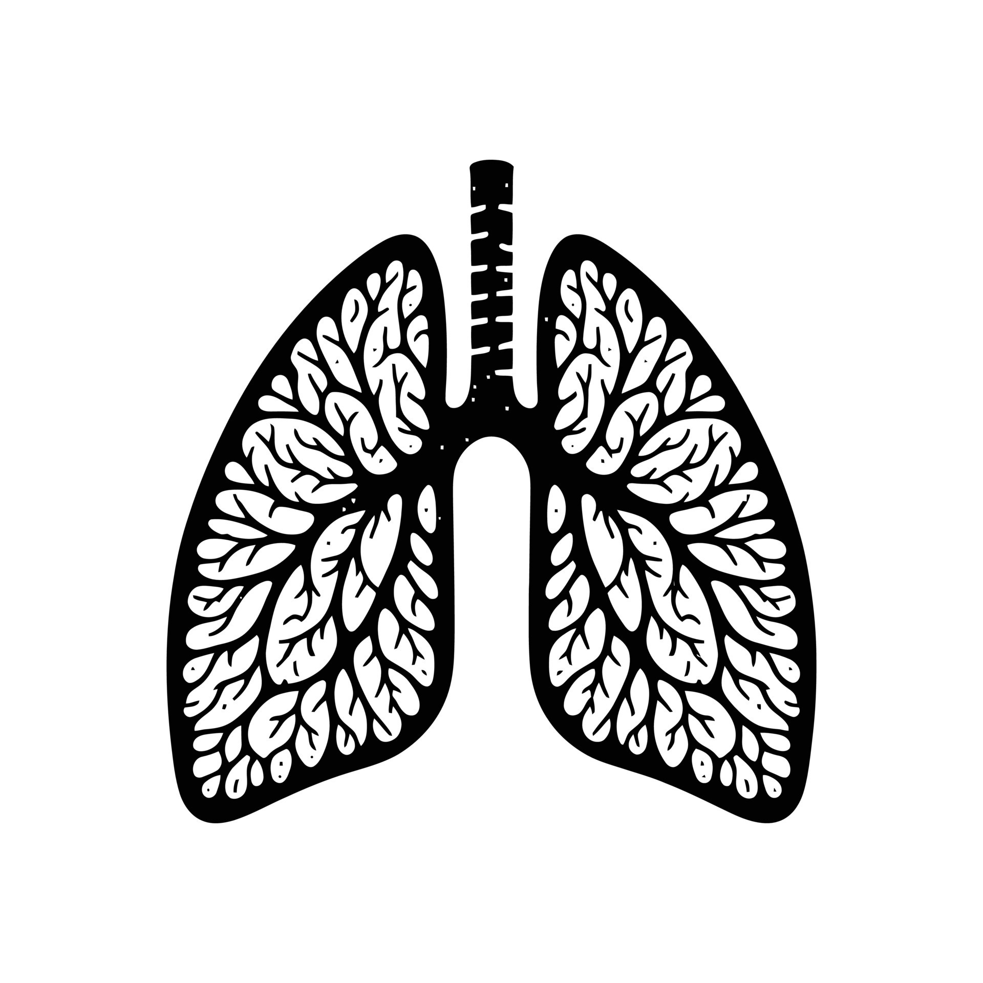 Lung Anatomy Silhouette - Silhouette Illustration of Human Respiratory ... Lung Anatomy Silhouette - Silhouette Illustration of Human Respiratory ...