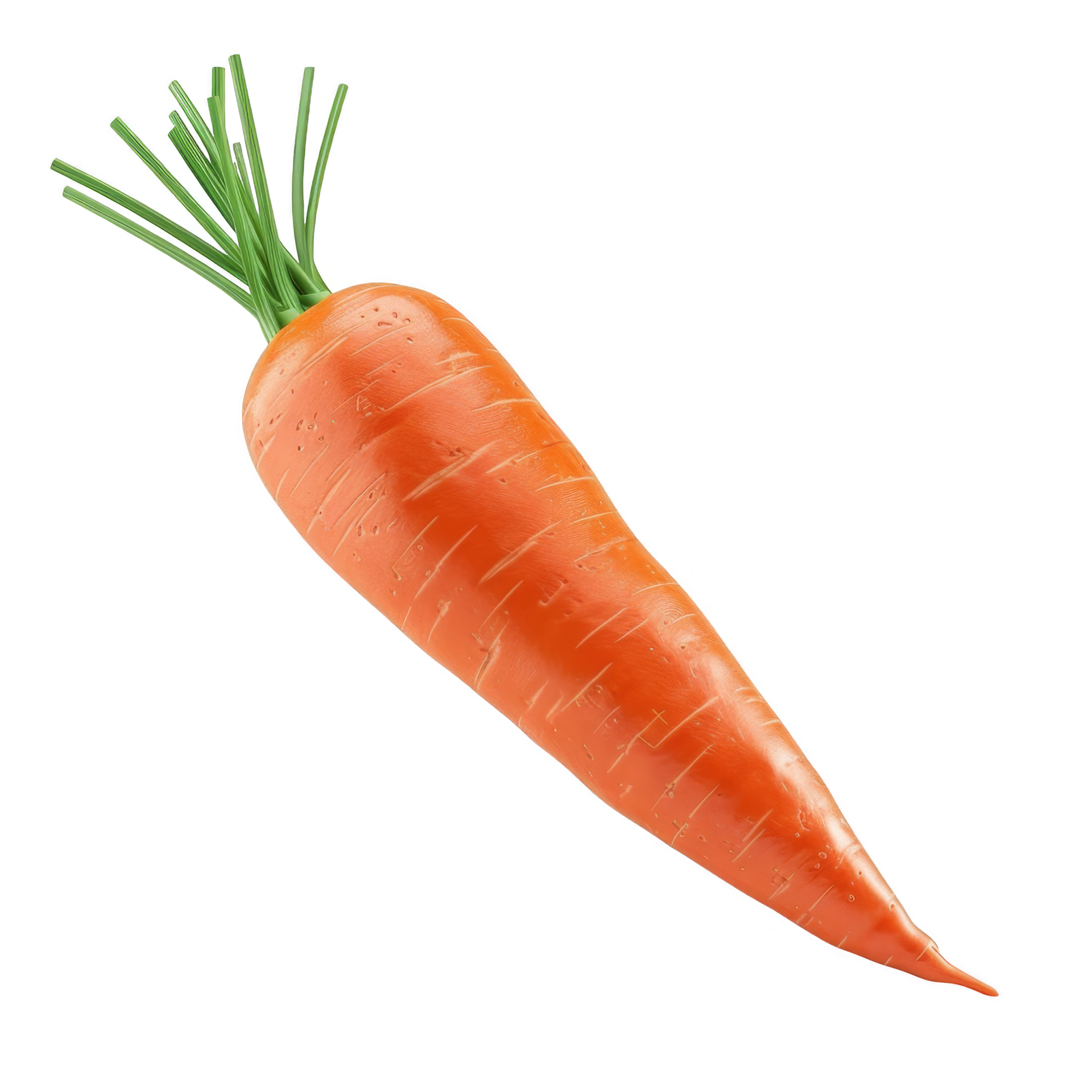 Carrot Isolated on a Transparent Background 46438933 PNG