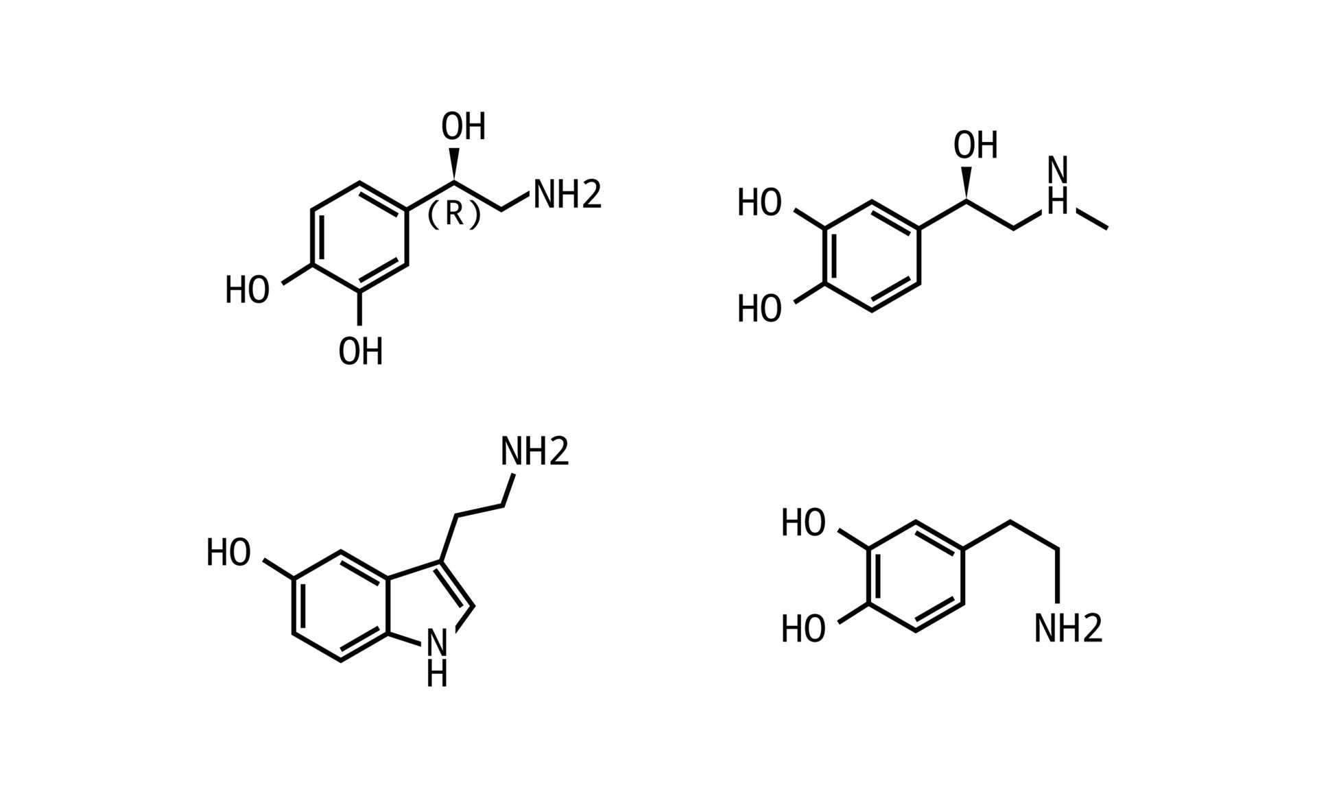 Catecholamines Formula Illustration Isolated 46453582 Vector Art At Vecteezy