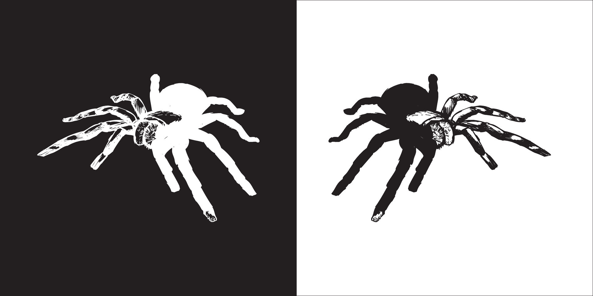 Illustration graphics of spider icon 46461503 Vector Art at Vecteezy