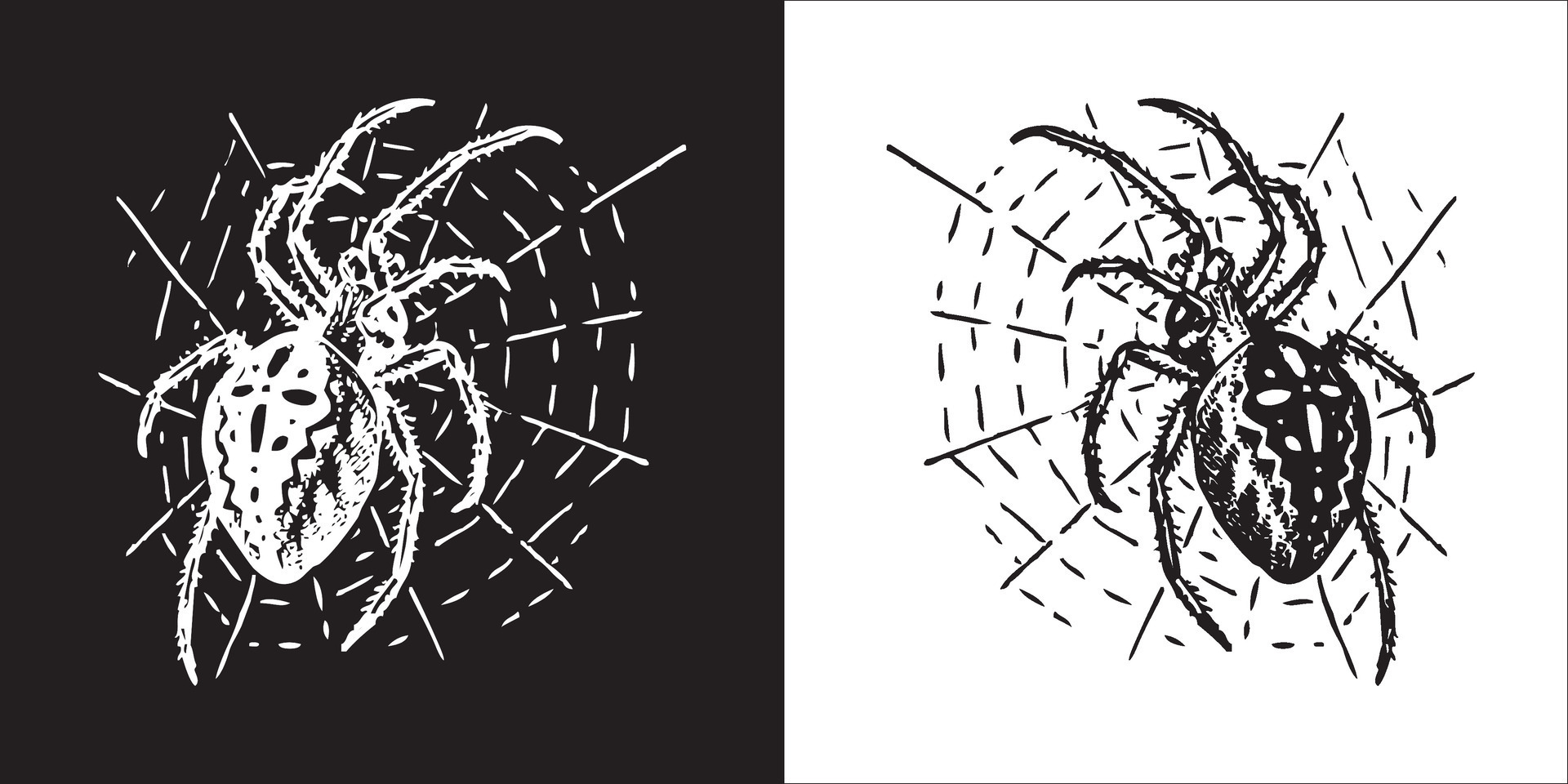 Illustration graphics of spider icon 46461506 Vector Art at Vecteezy