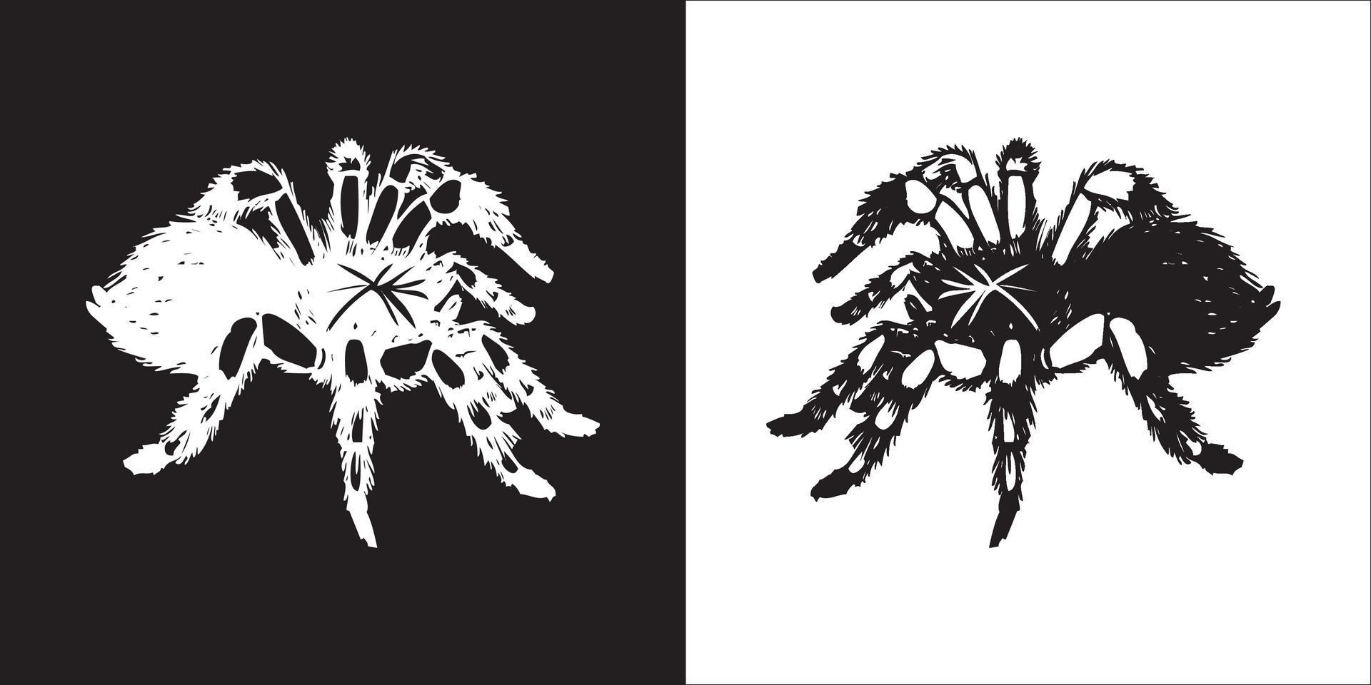 Illustration graphics of spider icon 46461560 Vector Art at Vecteezy