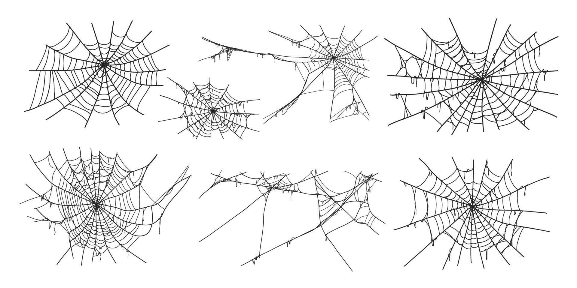 Spooky halloween old spider web with various sizes and shapes. Old ...