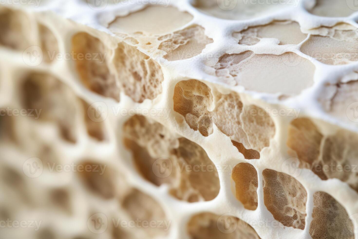 Bone Tissue Human Skeleton Under Microscope Cells Structure Medical Science Biology Background