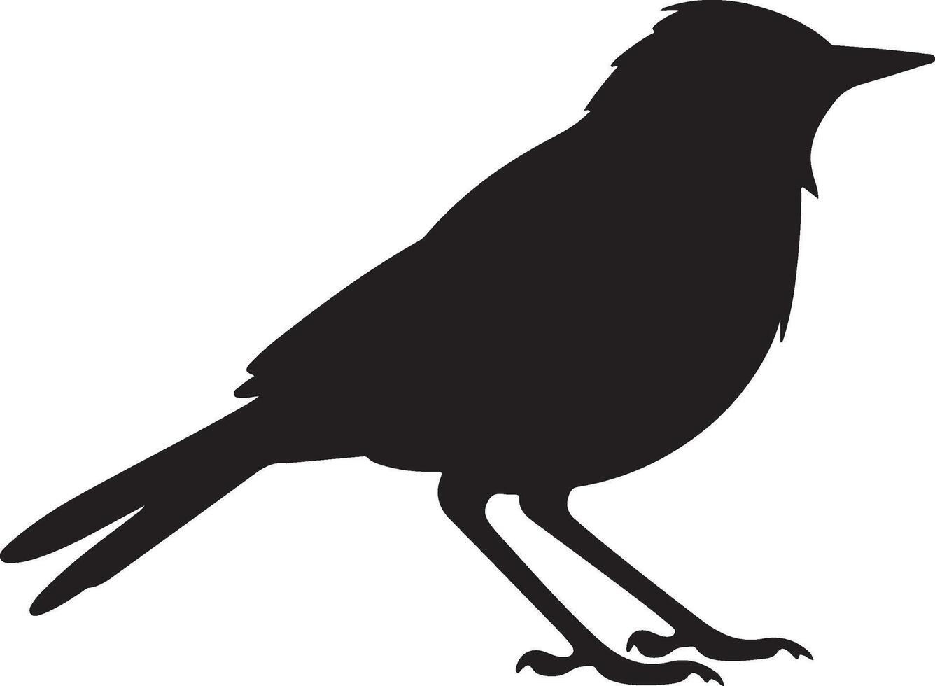 Bulbul Bird Silhouette Illustration White Background 46525496 Vector Art At Vecteezy