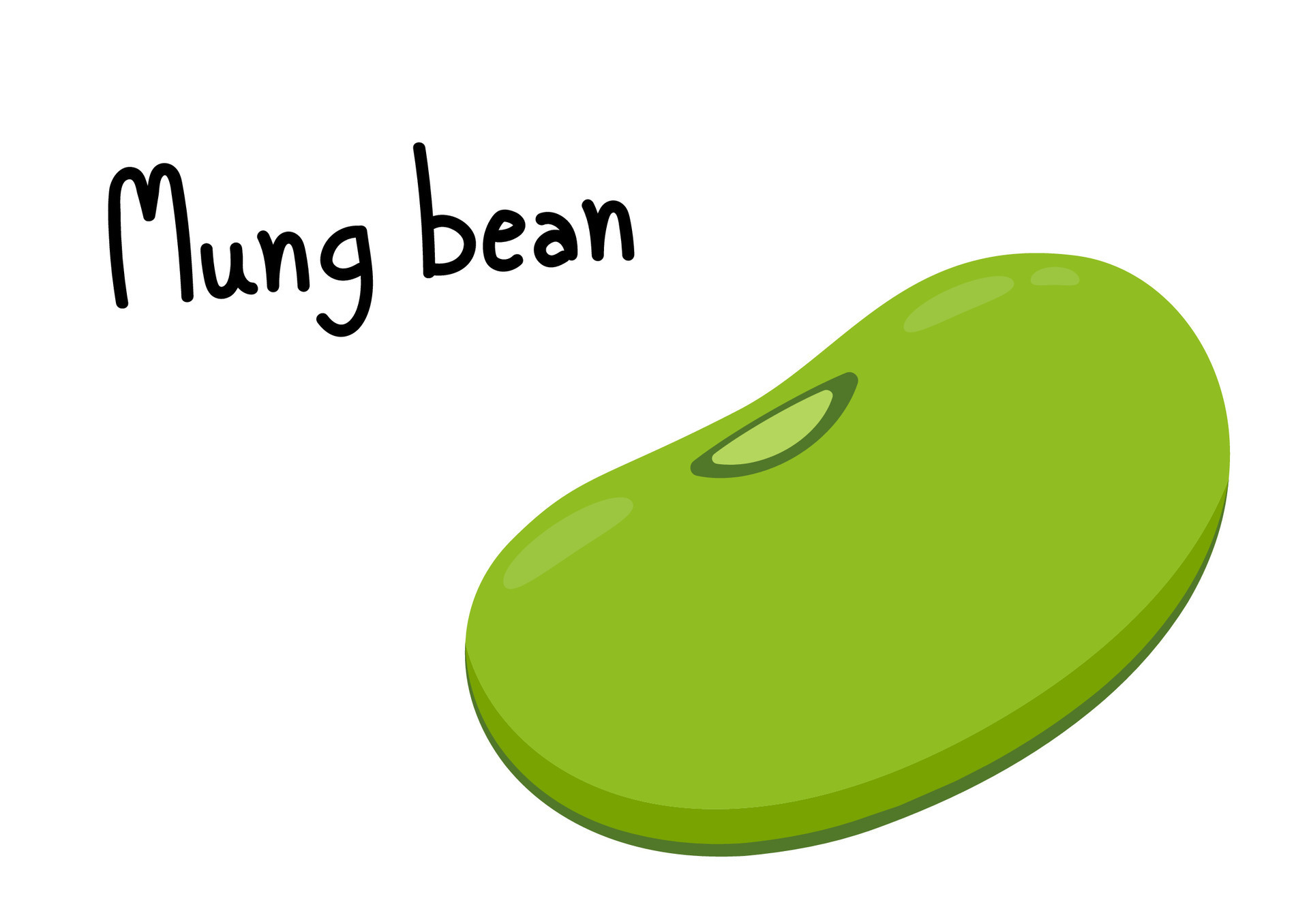 Mung Bean Mung Bean On White Background 46536170 Vector Art At Vecteezy