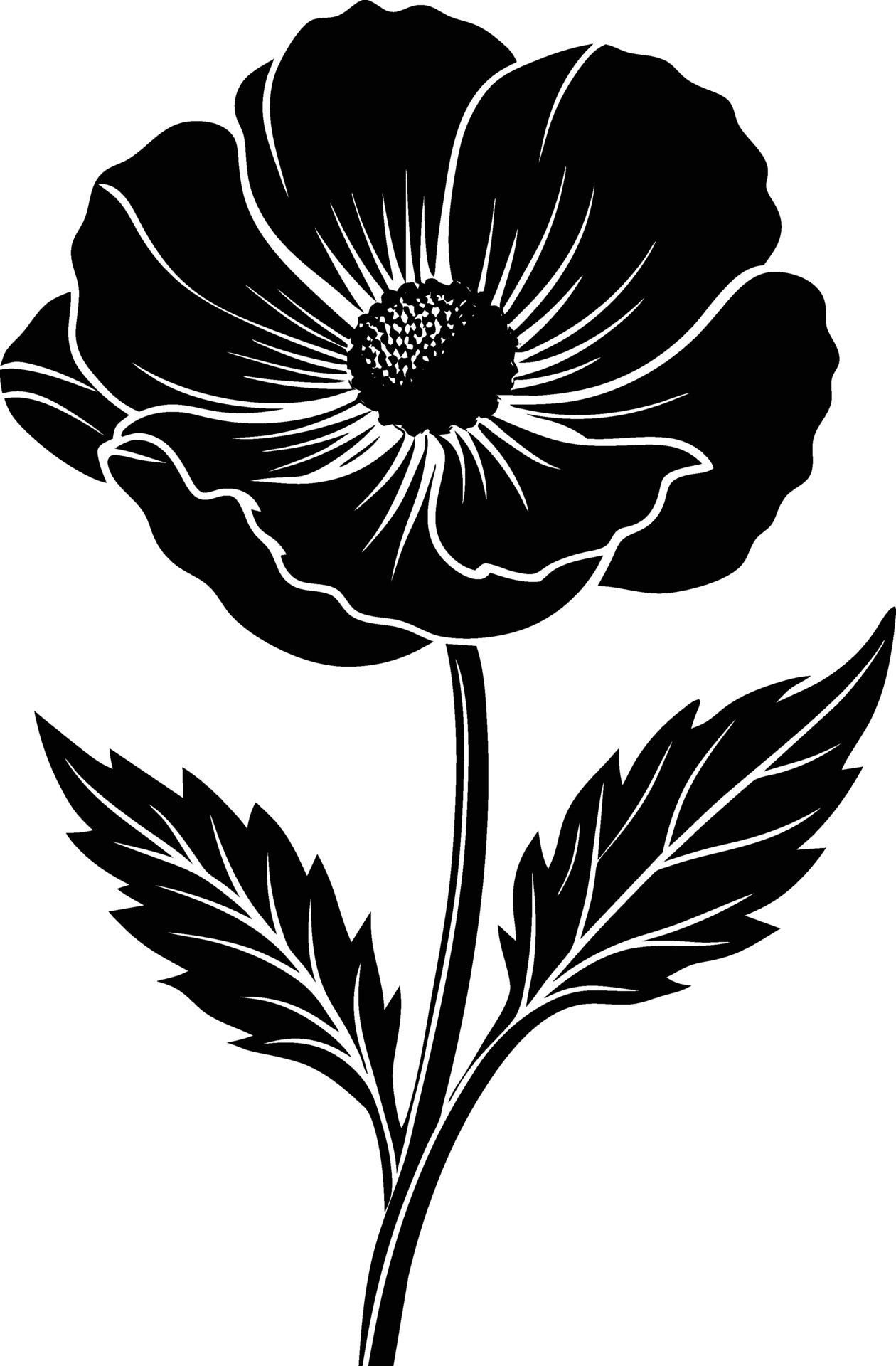 Black And White Poppy Flower Silhouette 46541056 Vector Art At Vecteezy