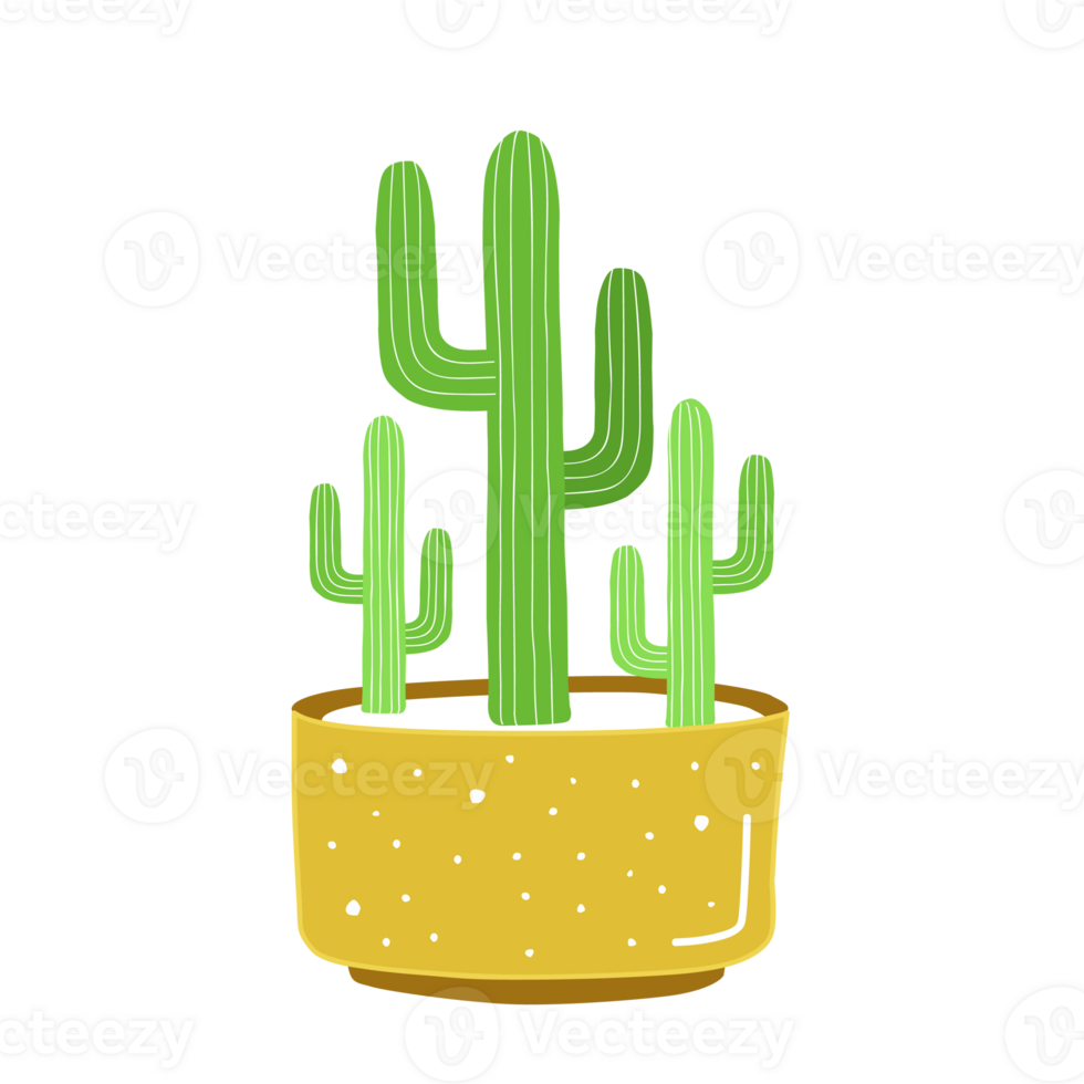 Ilustración De La Planta De Cactus 46542506 Png