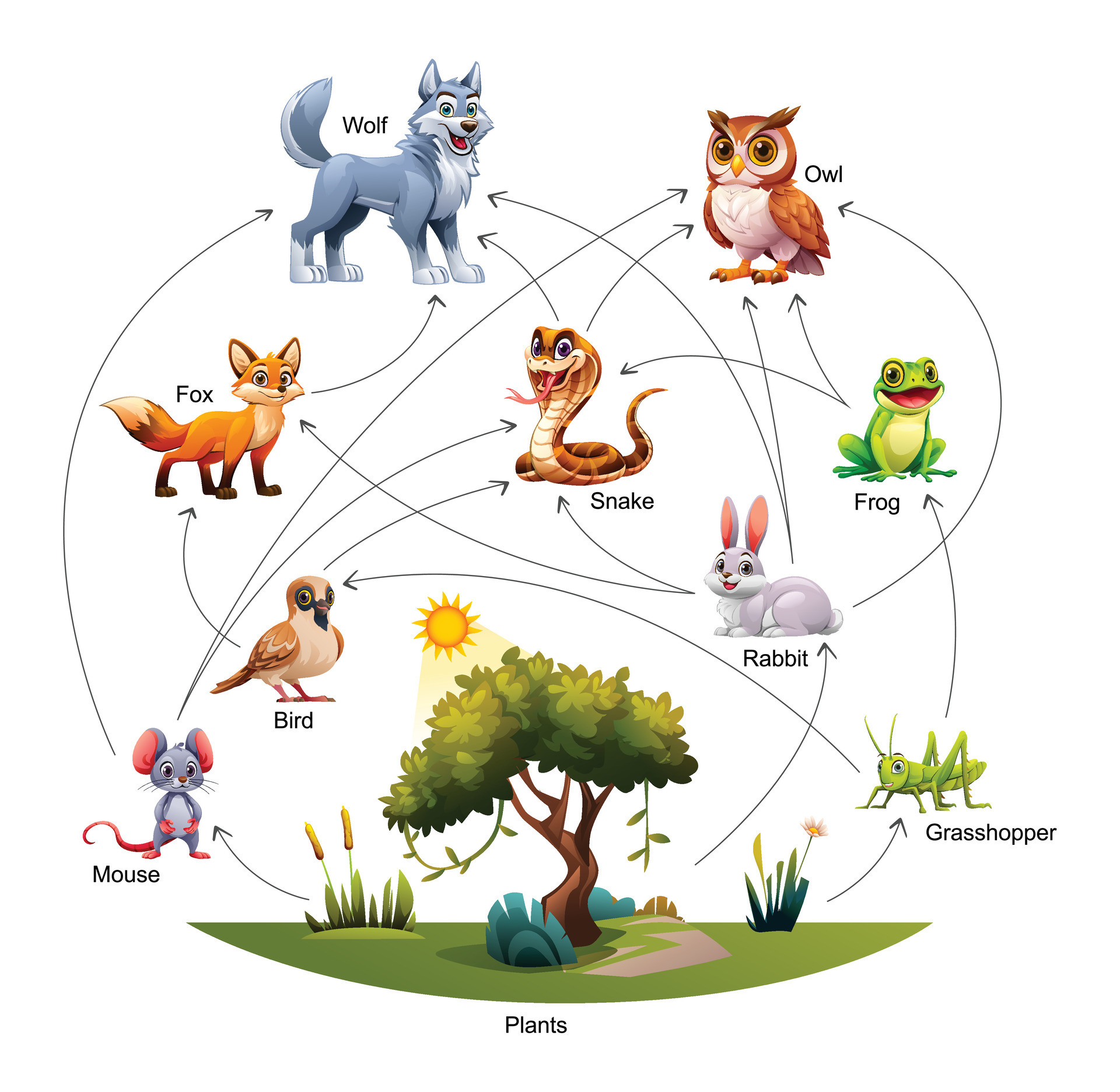 Illustration of food web ecosystem 46551539 Vector Art at Vecteezy