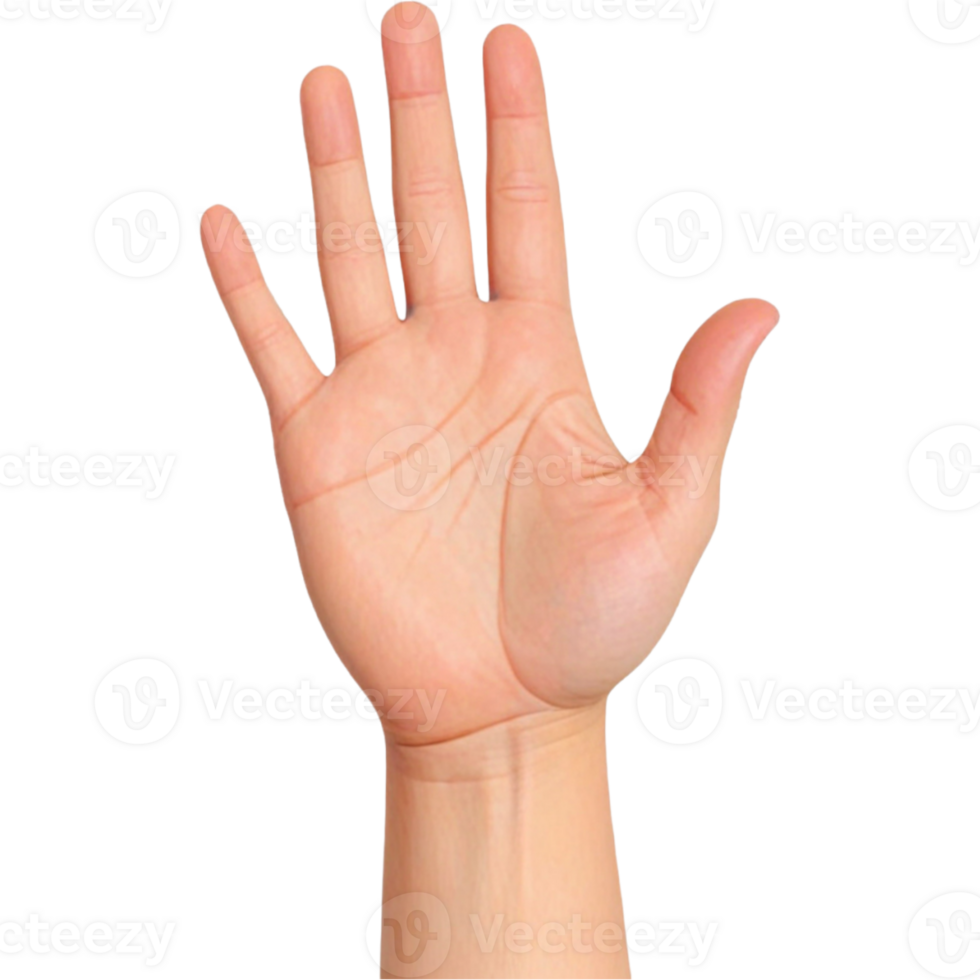 Open Palm Hand Flat Icon 46566116 PNG