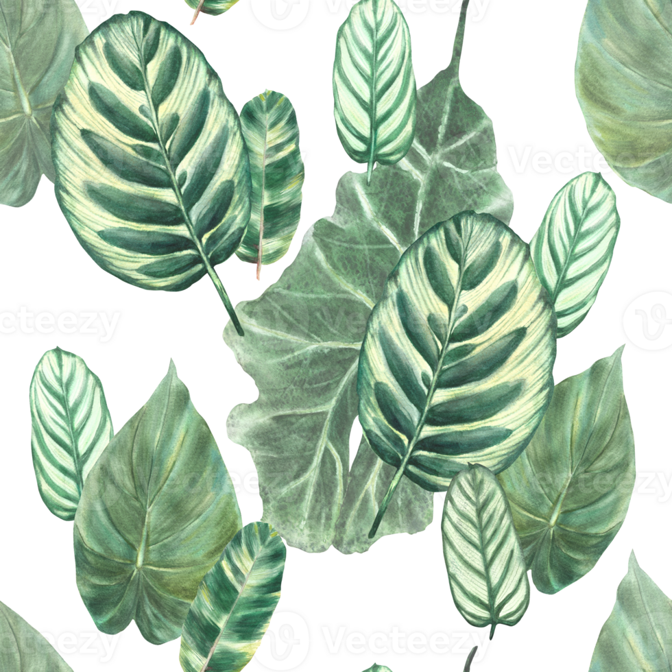 Tropical Leaves Watercolor Seamless Pattern Jungle Plants Summer