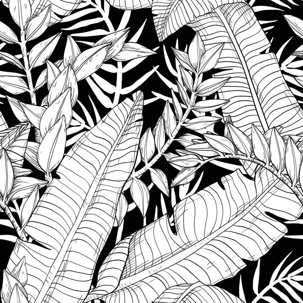 Tropical Leaves Seamless Pattern Black And White 46629139 Vector Art