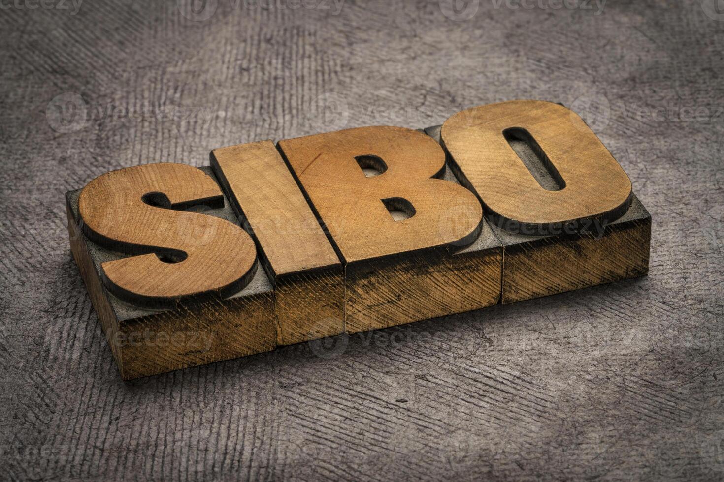 SIBO, small intestinal bacterial overgrowth, word abstract 46684309 ... SIBO, small intestinal bacterial overgrowth, word abstract 46684309 ...