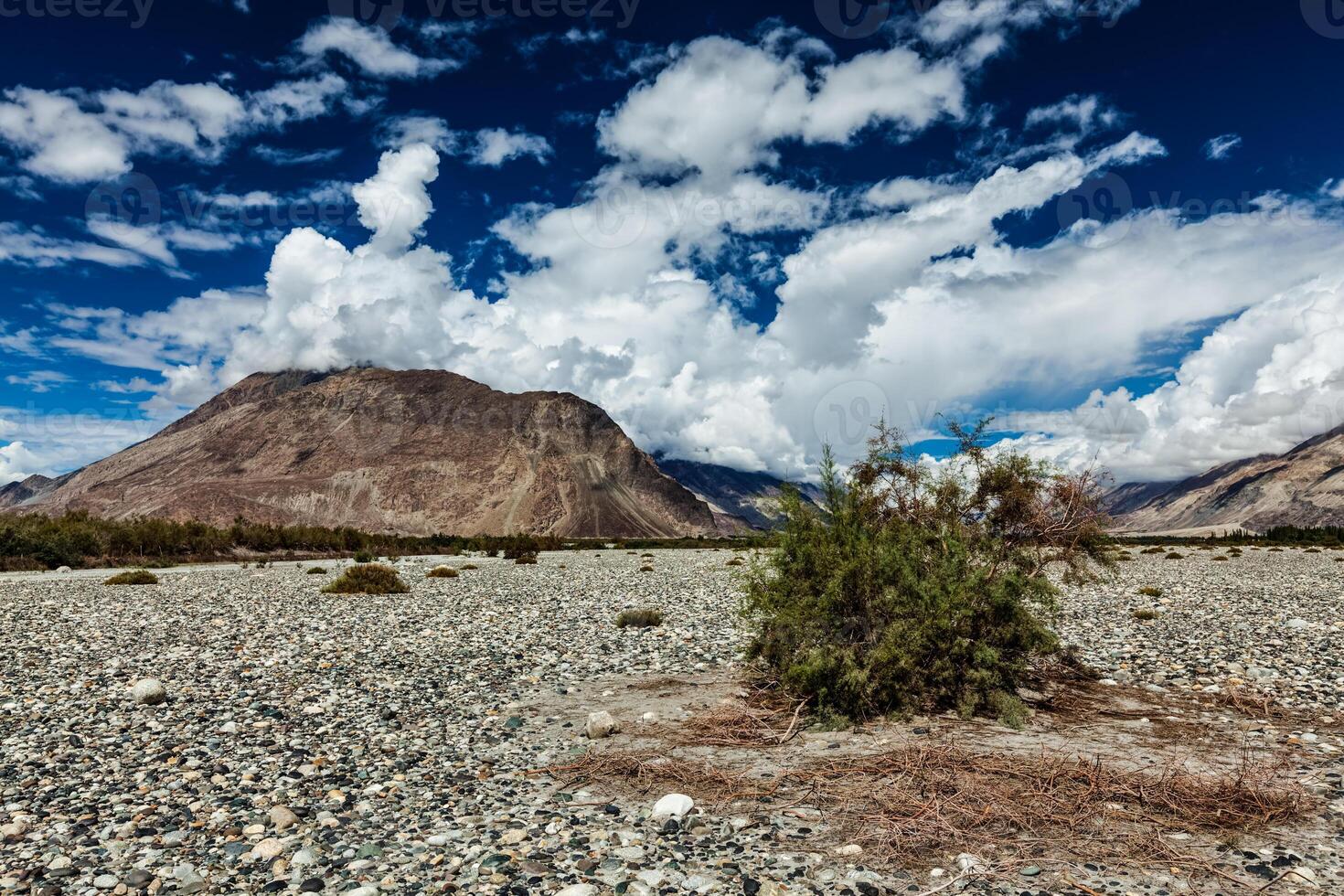 Nubra valley in Himalayas. Ladakh, India 46708505 Stock Photo at Vecteezy