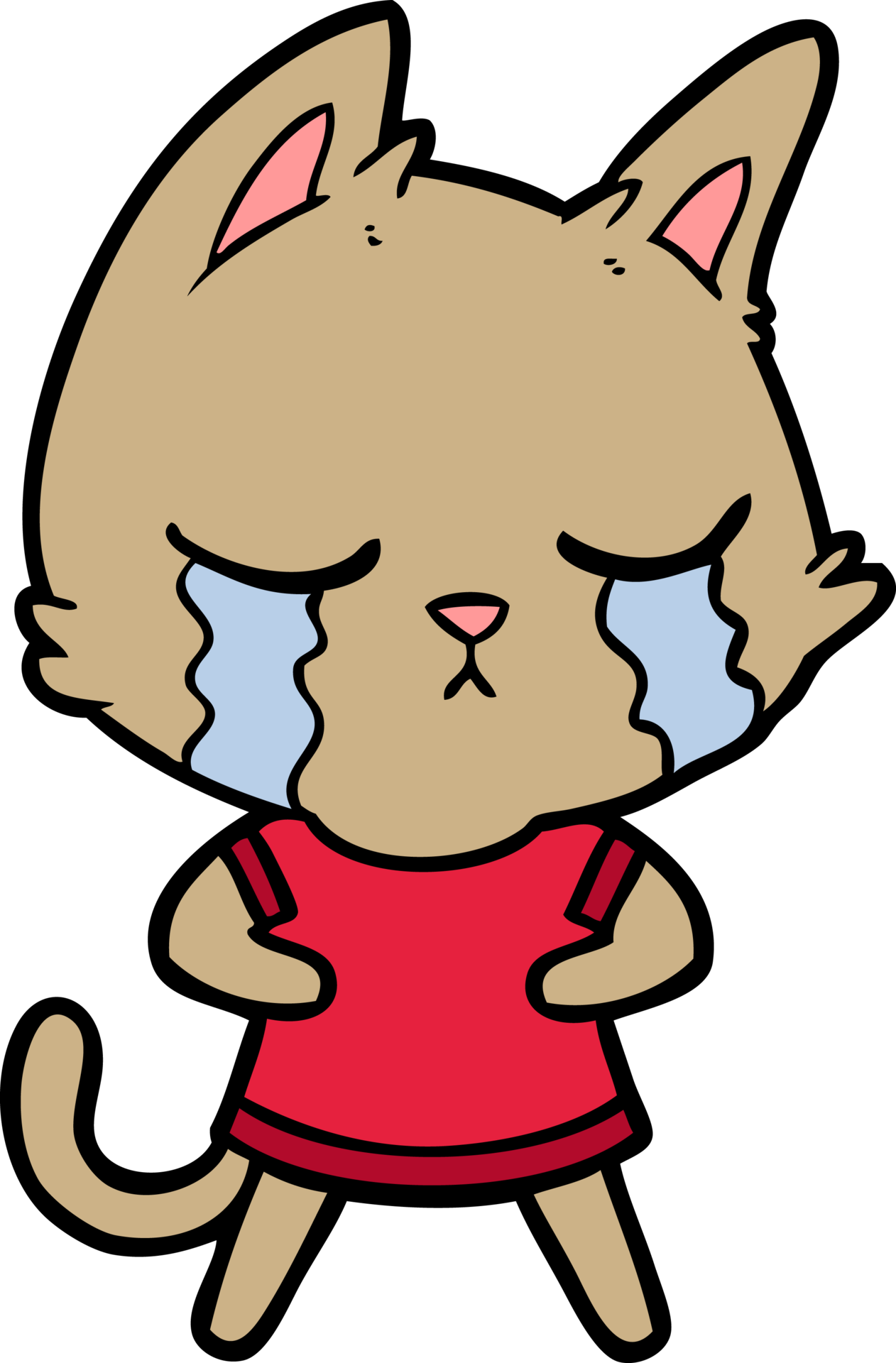 Crying Cartoon Cat Drawing 46723783 Png