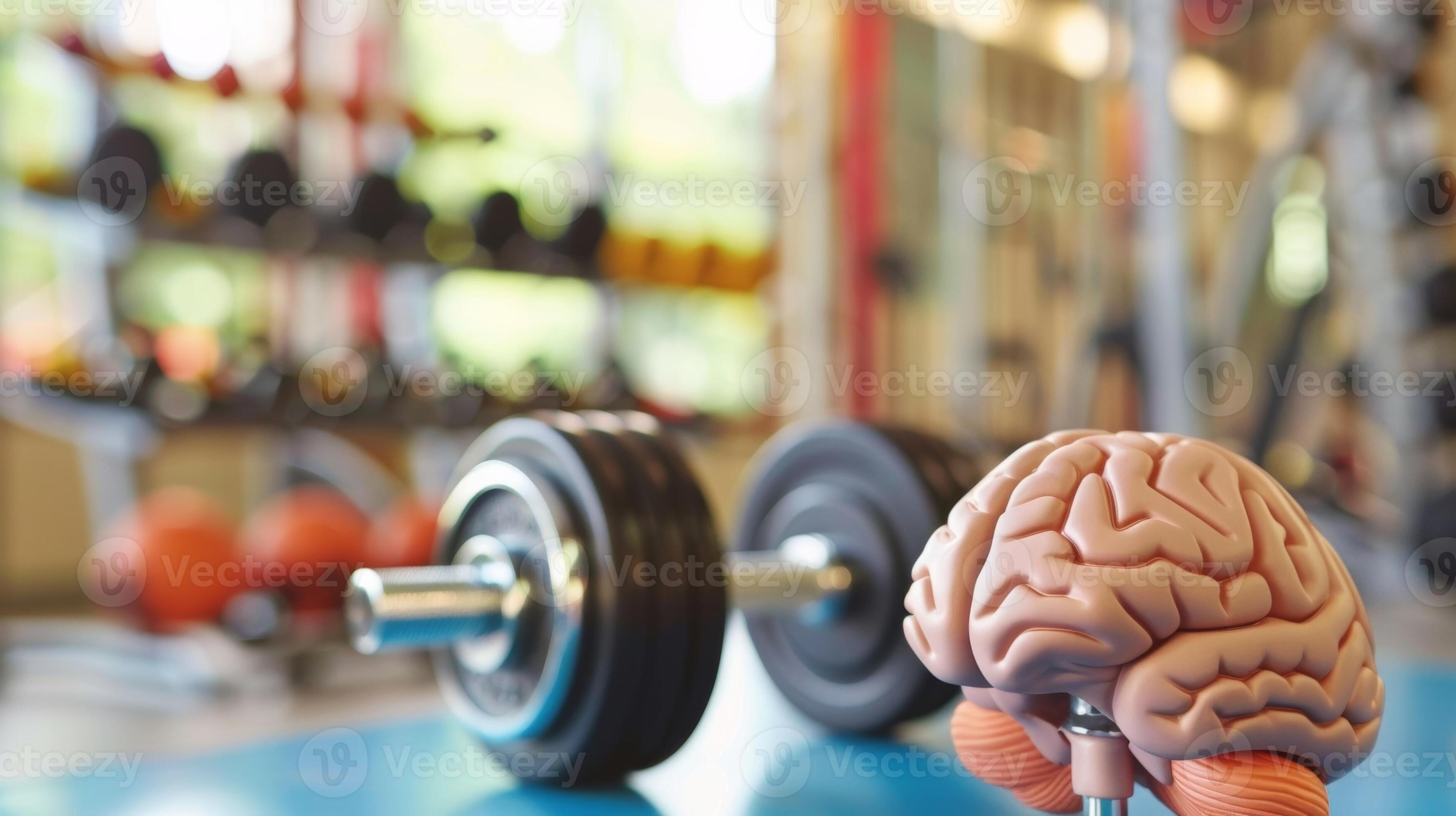 A chart showing the correlation between physical exercise and improved ...