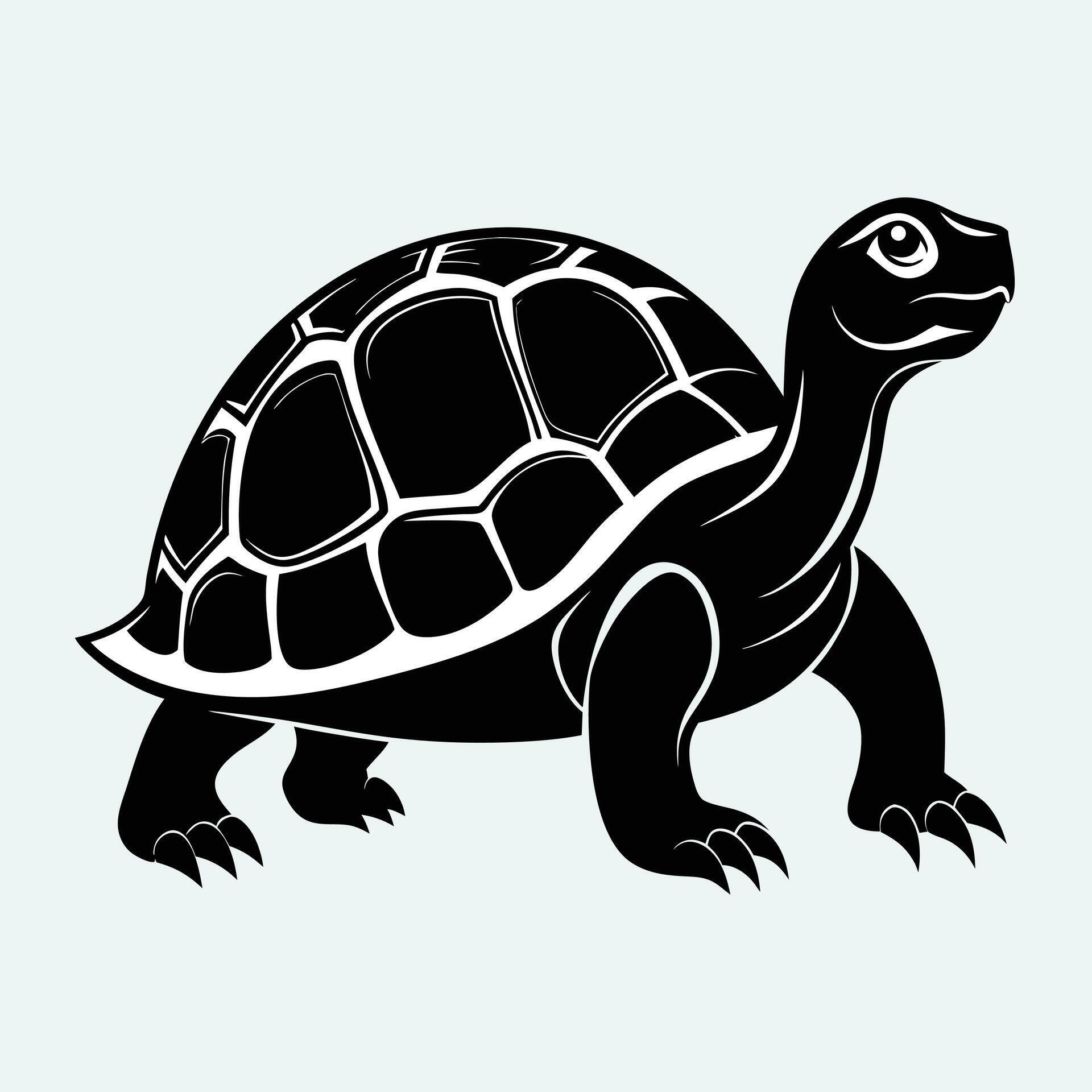 Aldabra Giant Tortoise Silhouettes And Icons Black Flat Color Simple