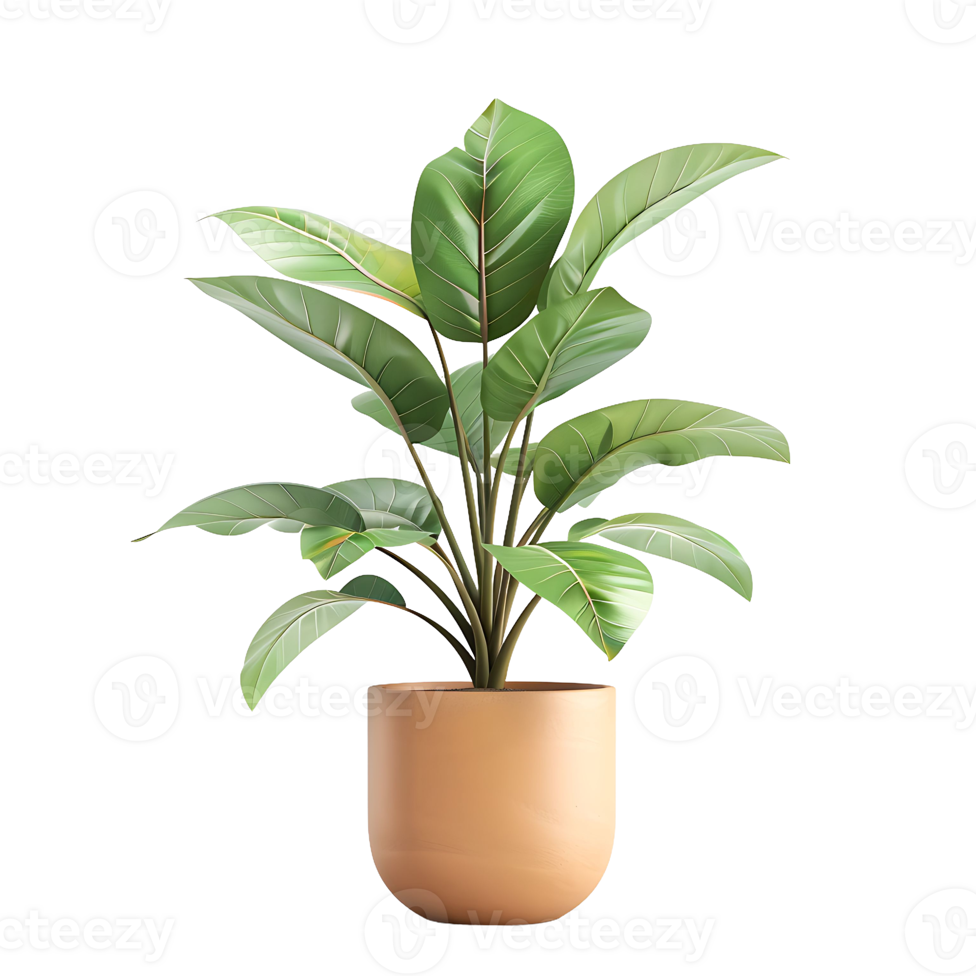 A Potted Houseplant With Lush Green Leaves 46789261 Png
