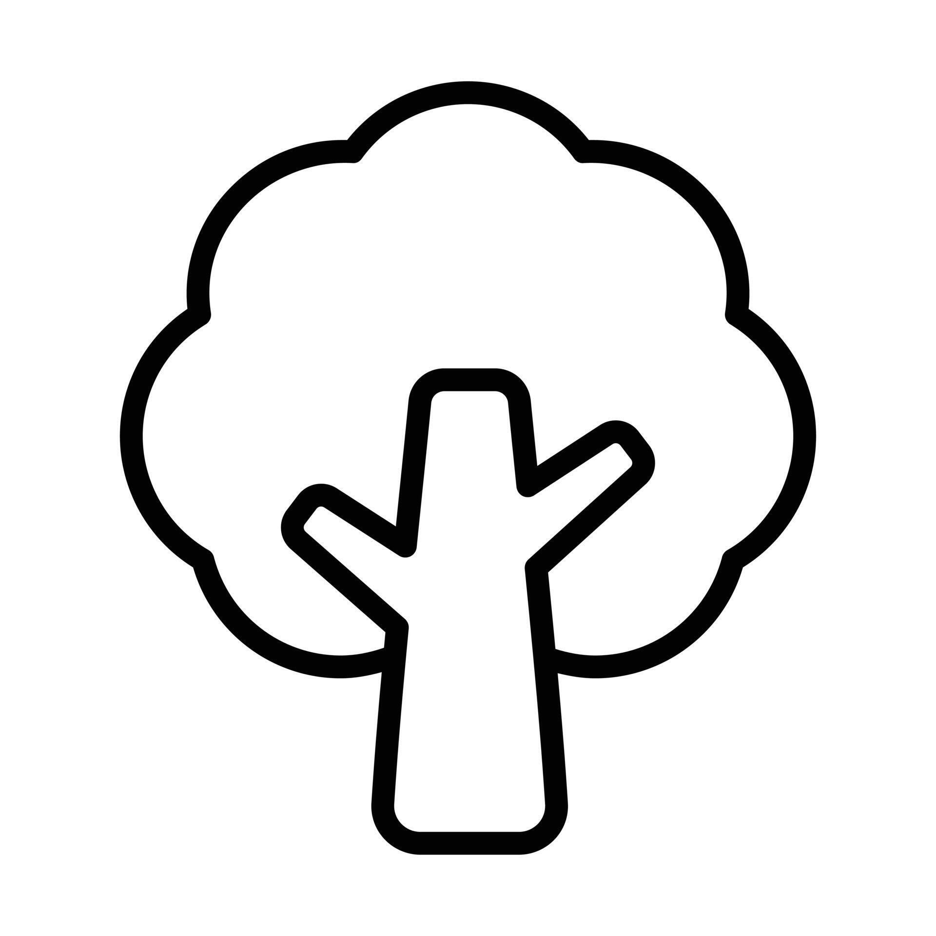 Simple Tree icon. The icon can be used for websites, print templates ...