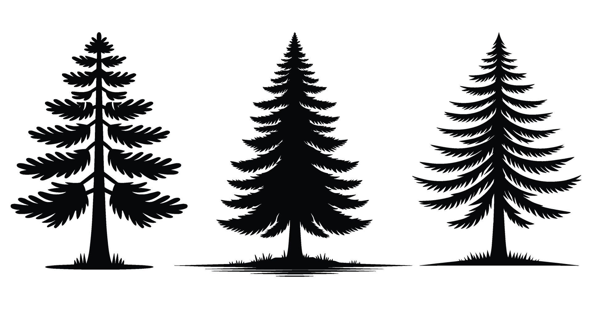 Set of Pine Tree silhouettes illustration Isolated on White Background ...
