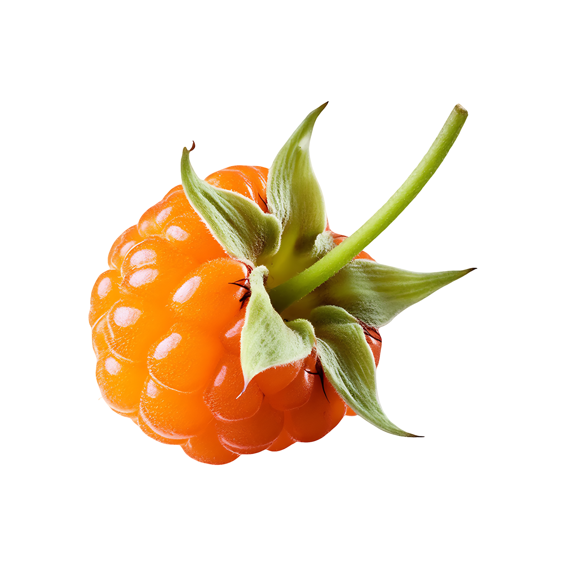 Cloudberry isolated on transparent background 46824810 PNG