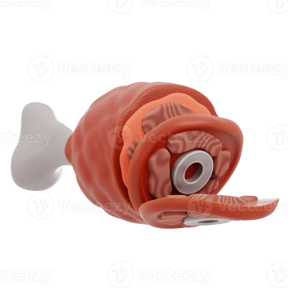 3d ilustración carne 46837078 PNG