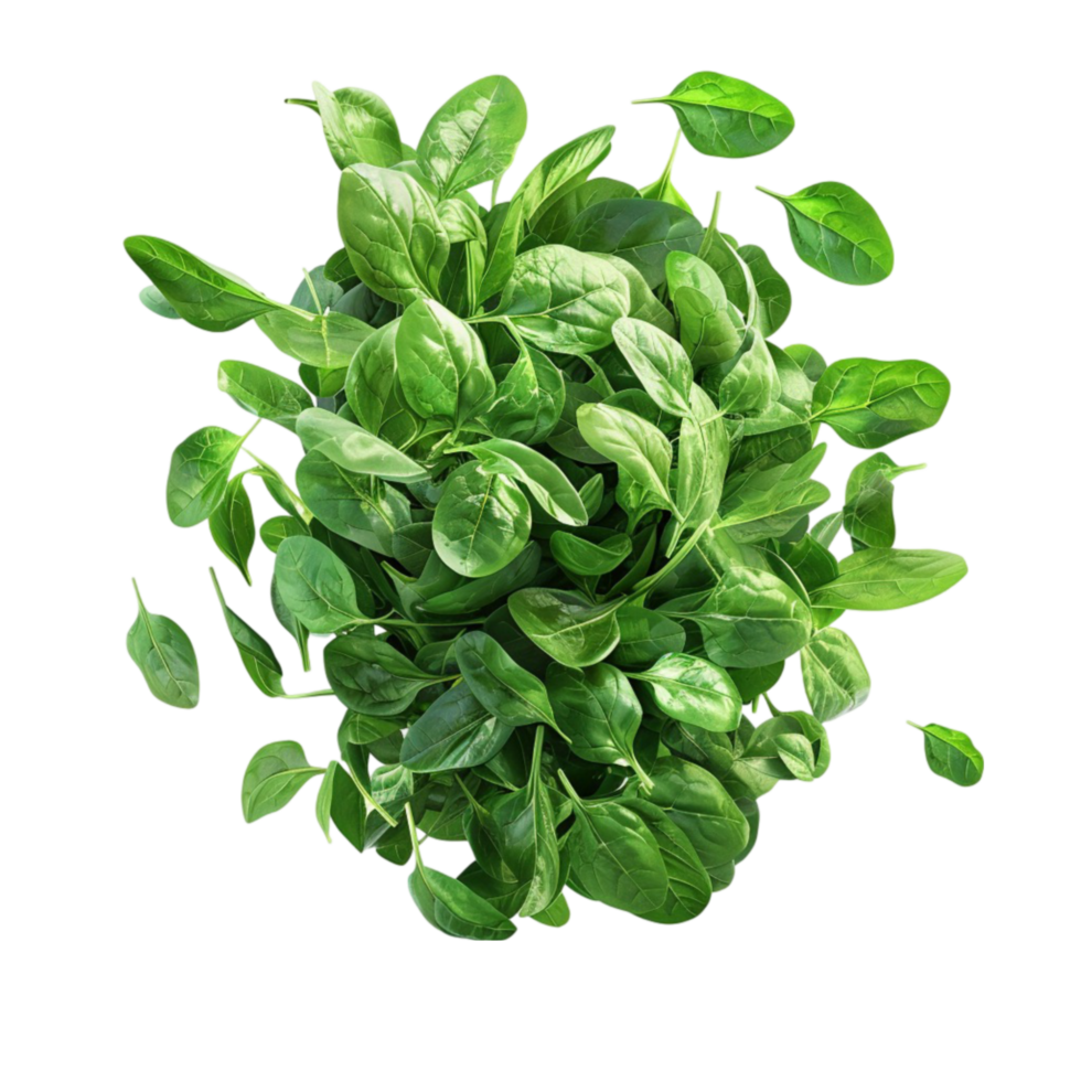 Fresh Green Spinach Leaves, Spinach AI-Generative 46849410 PNG Fresh Green Spinach Leaves, Spinach AI-Generative 46849410 PNG