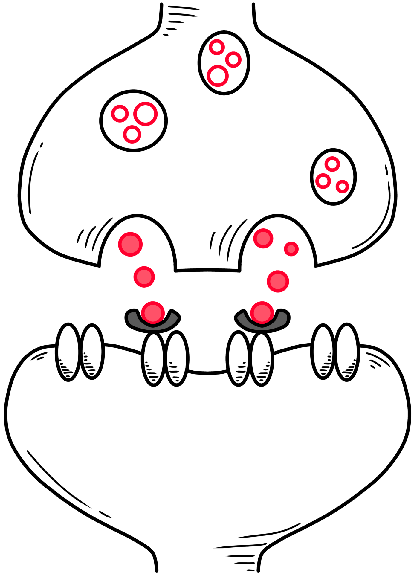 Synaptic Cleft And Neurotransmitters Created By Black And Red Line 46853666 Png