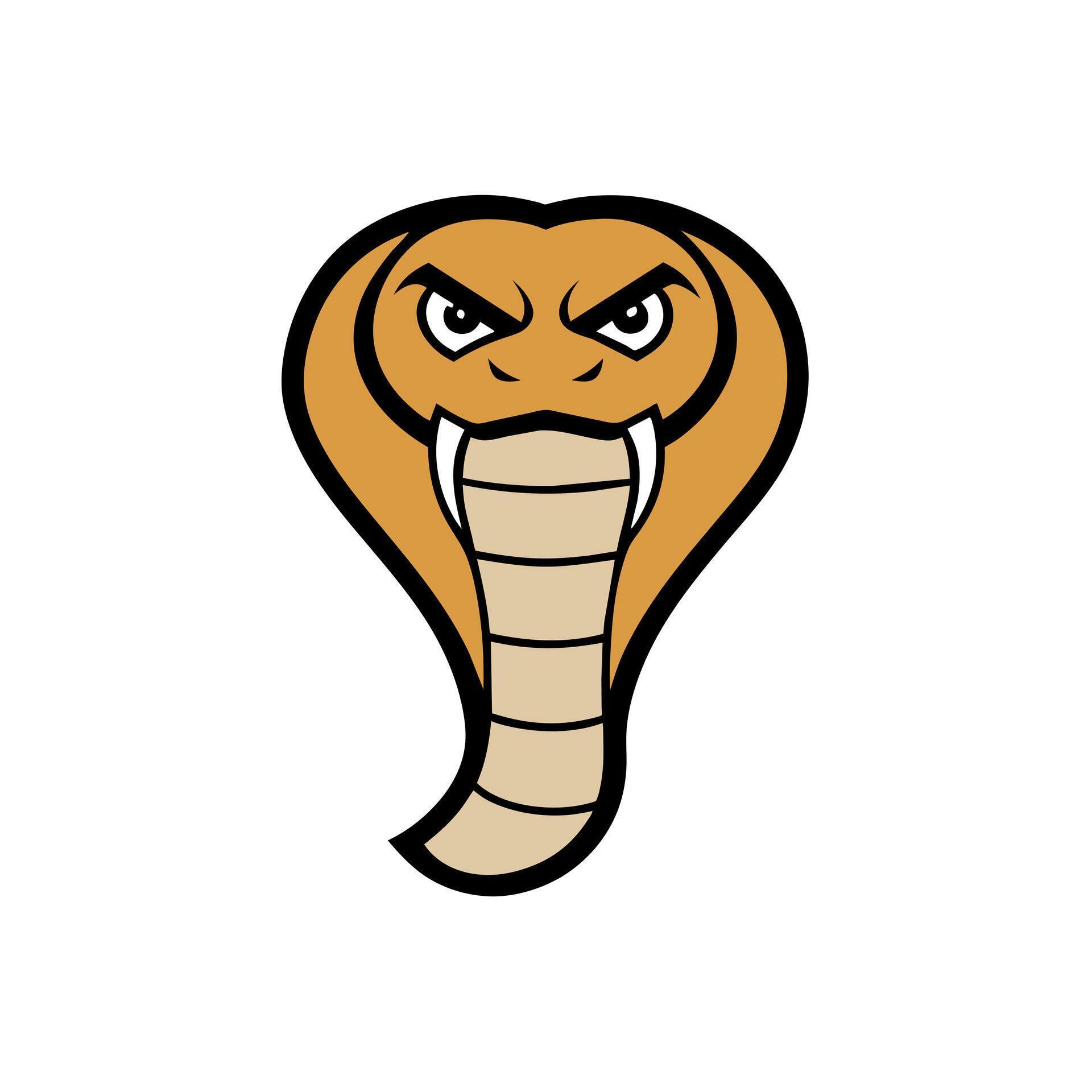 Axanthic Ball Python angry icon illustration 46917388 Vector Art at ...